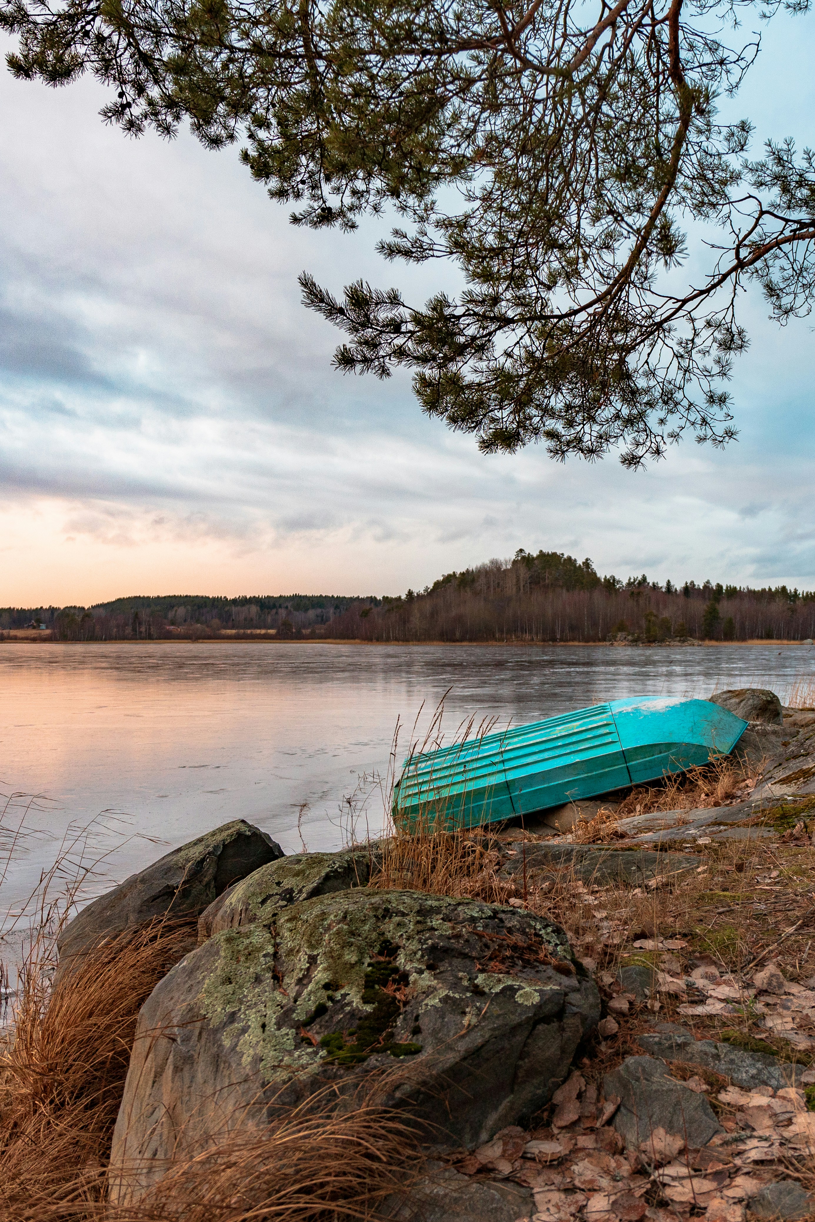 Blue Rowboat Beneath the Canopy in Dusk-Tinted Lake Shore