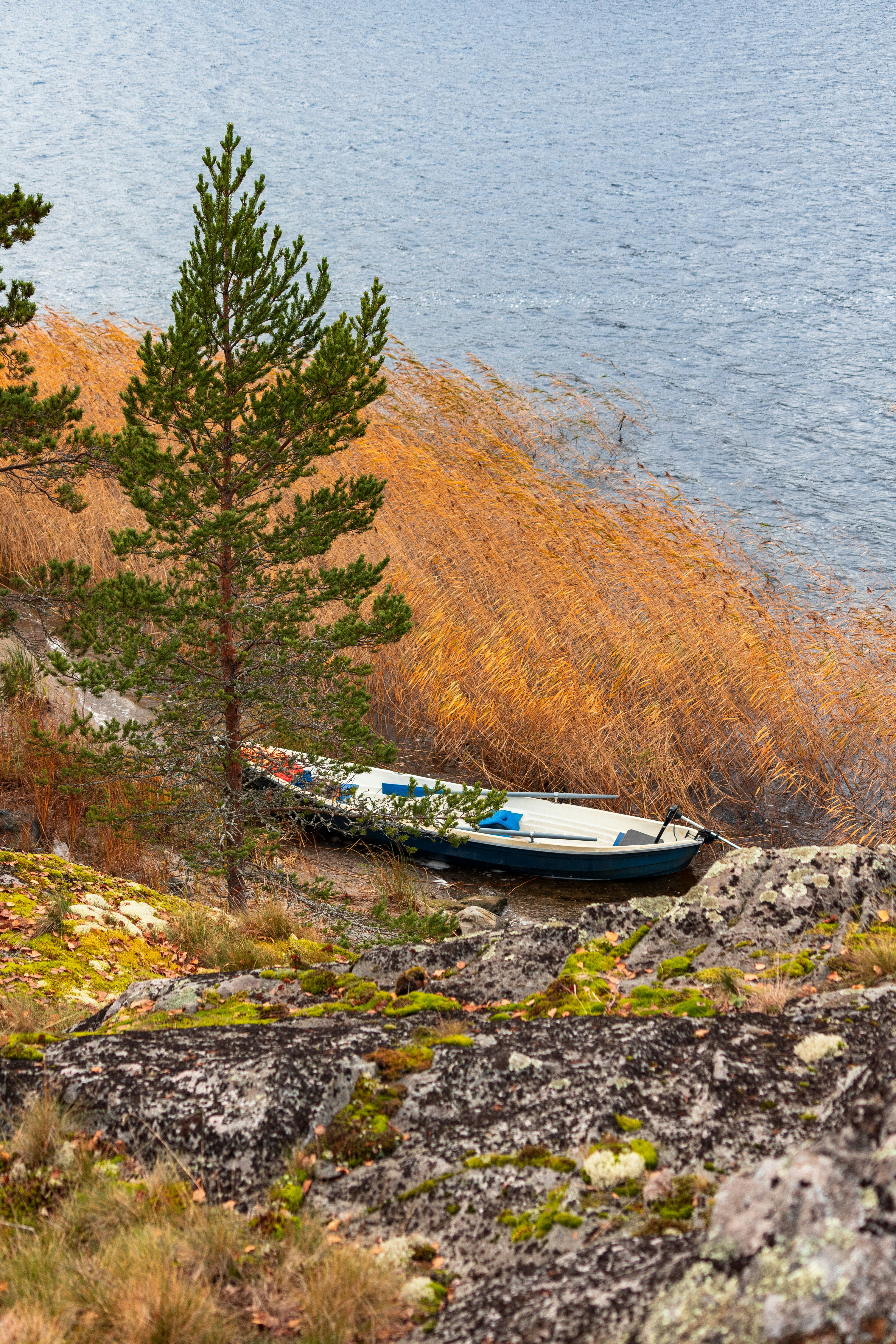 a small boat on the shore of a lake