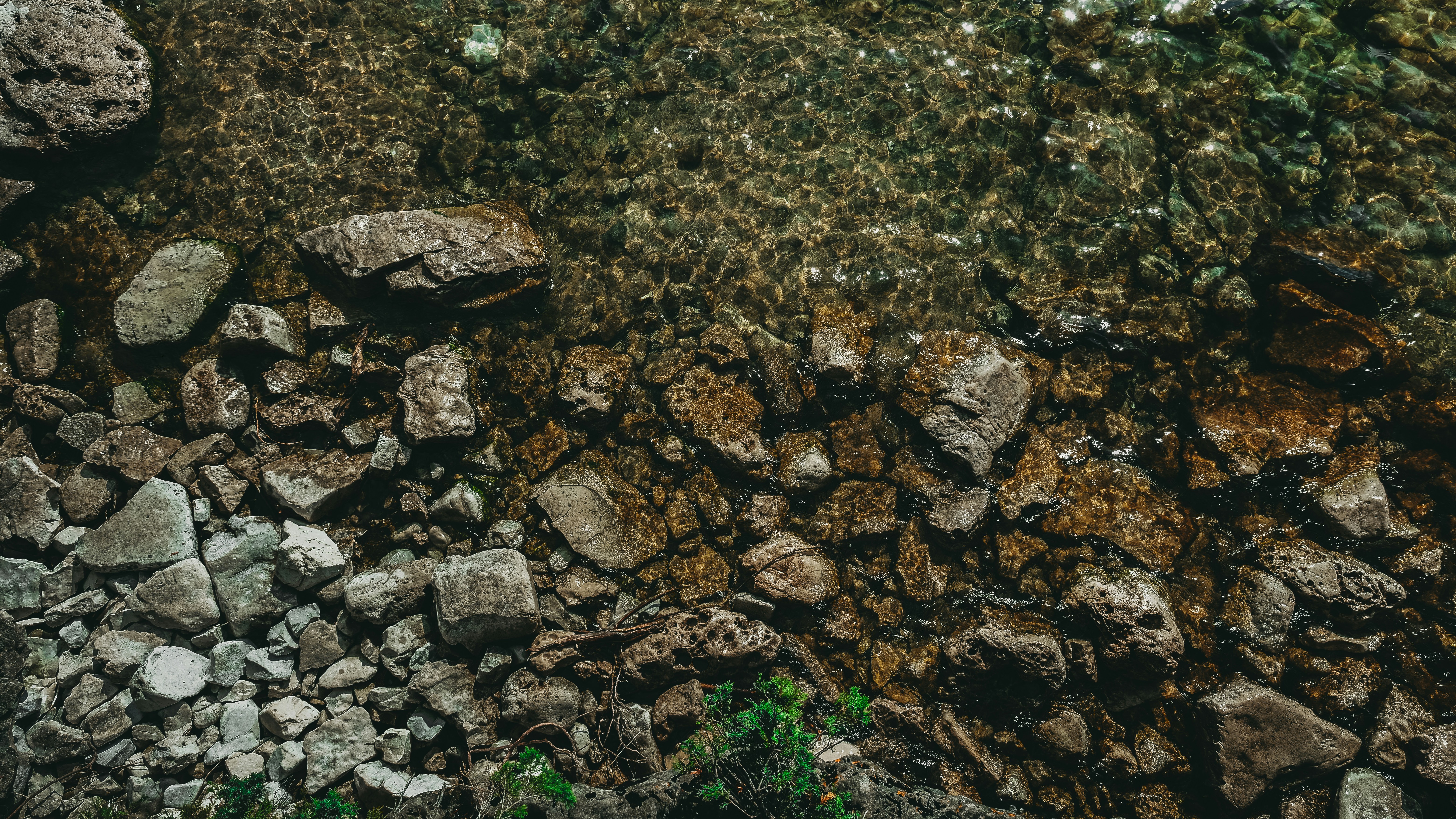 Foto Una pared de roca con musgo creciendo en ella – Imagen Roca gratis ...