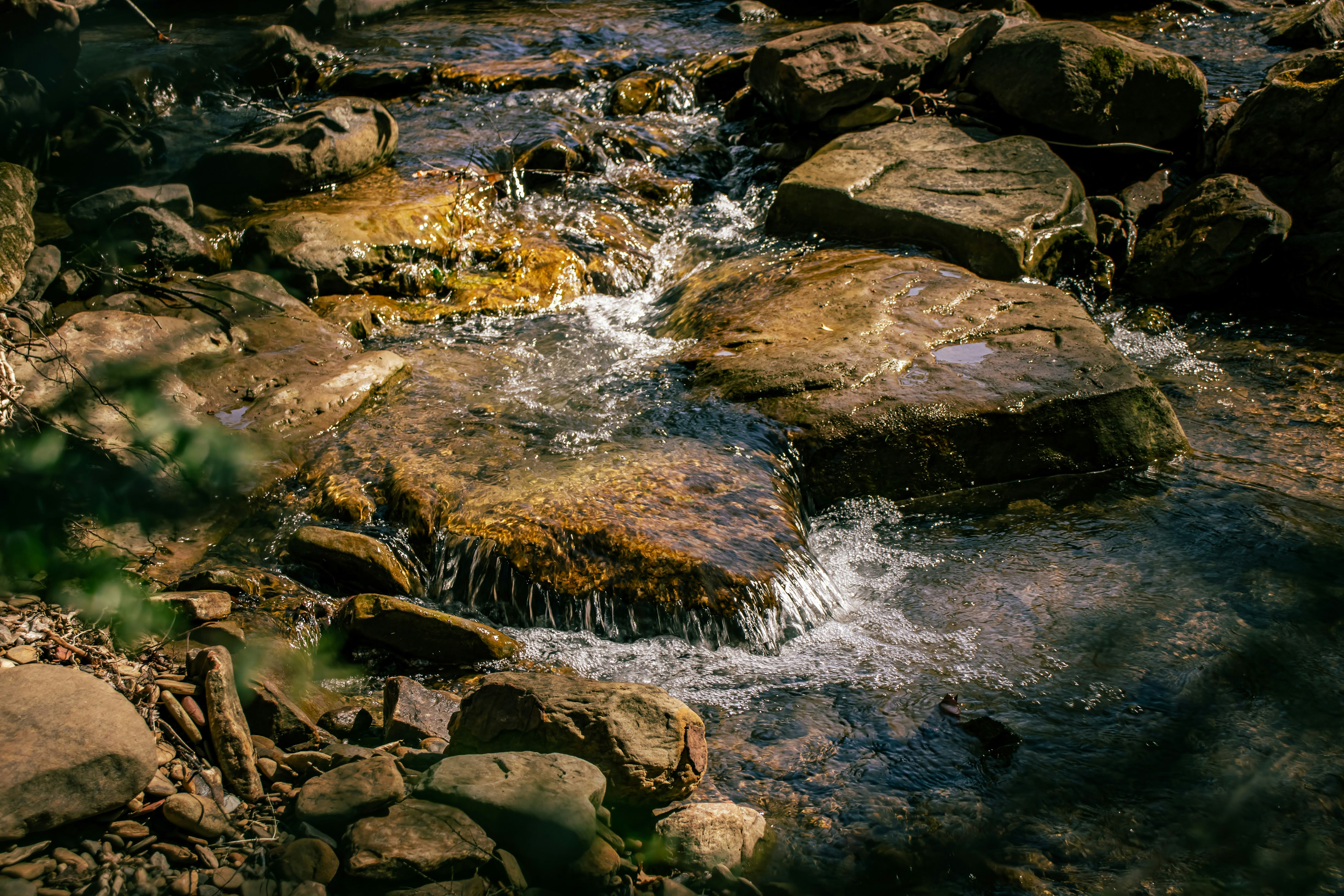 A stream of water running over rocks in a forest photo – Free Water ...