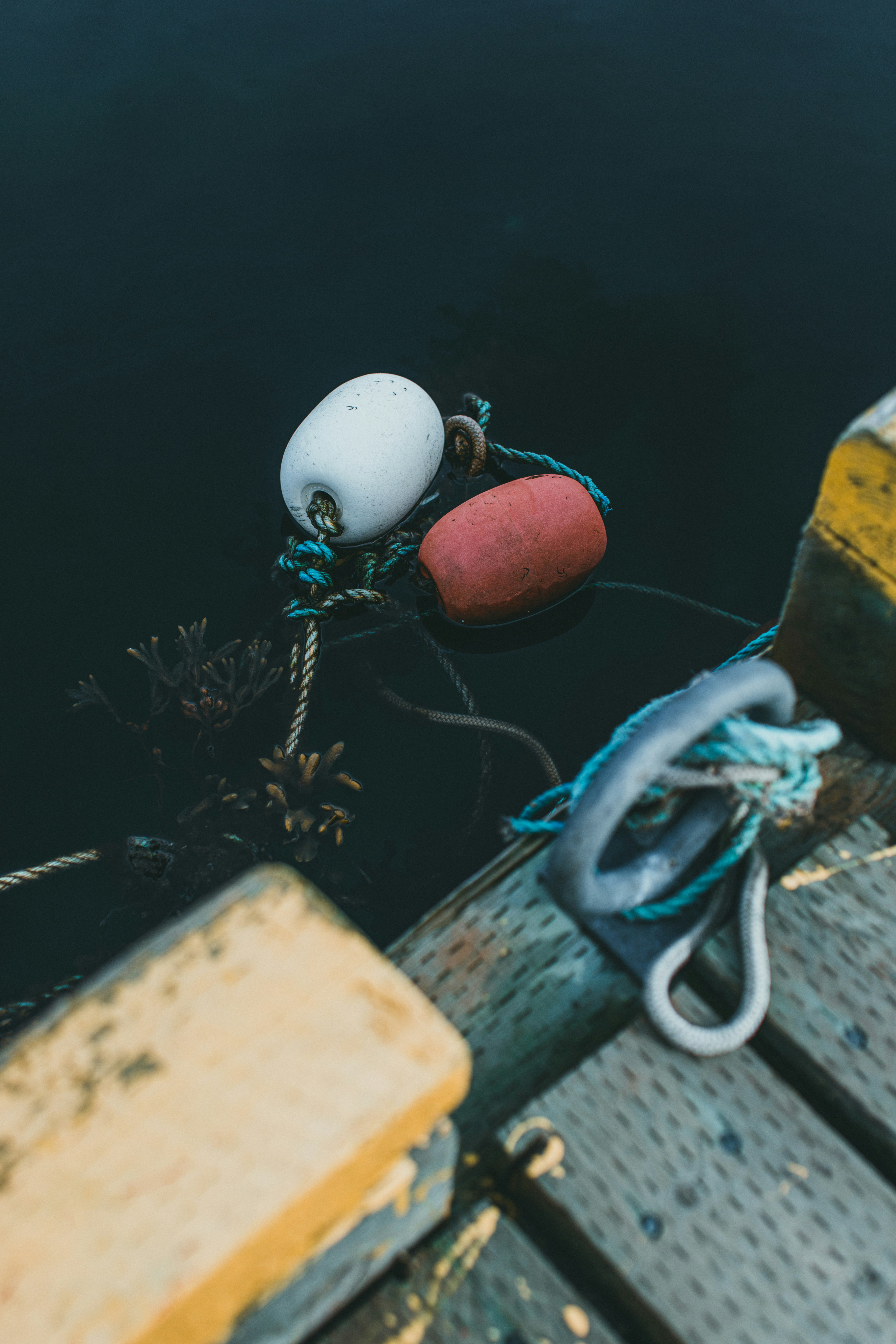 A boat tied to a dock with a life preserver photo – Free Food Image on ...