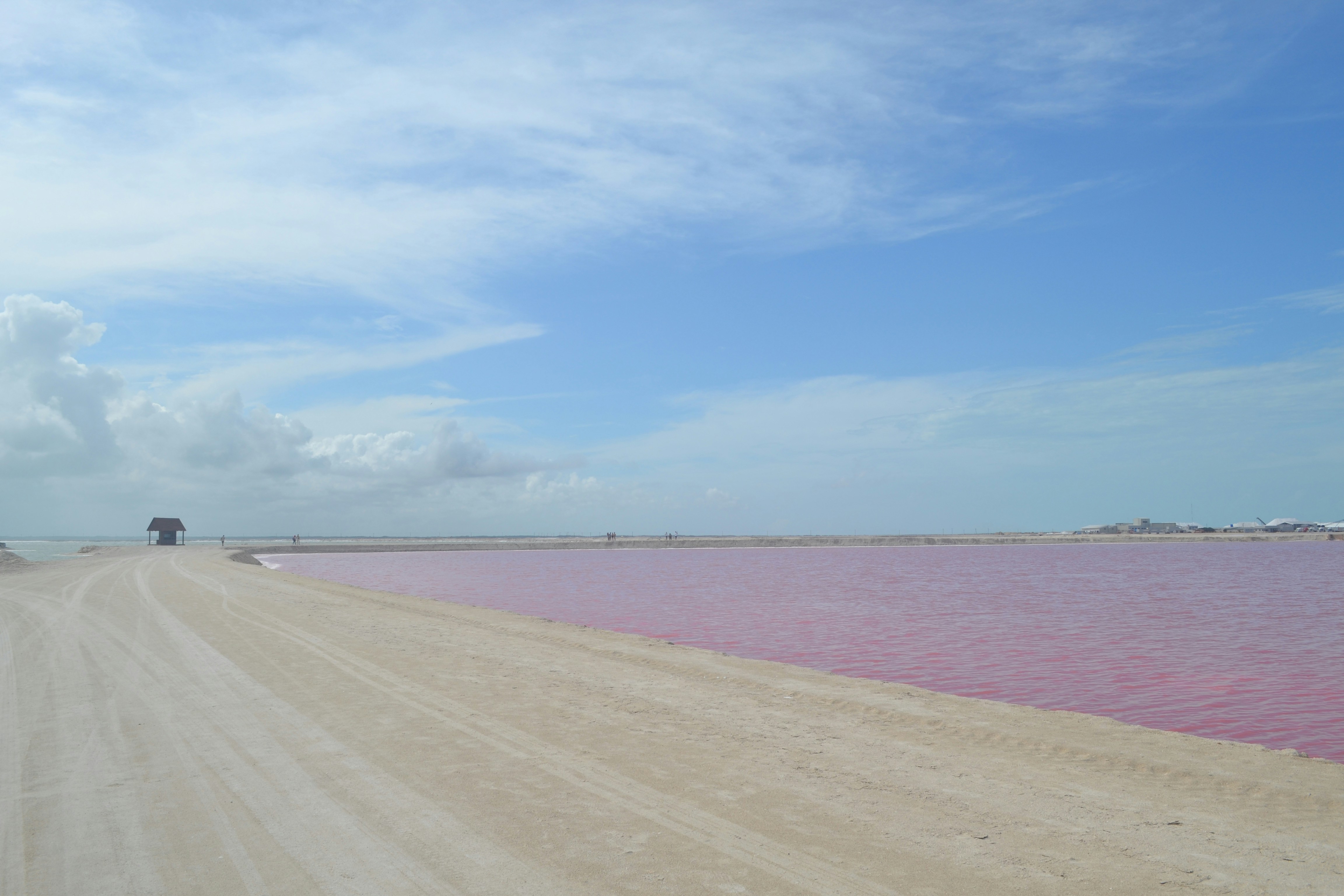 Pink Ocean Pictures | Download Free Images on Unsplash