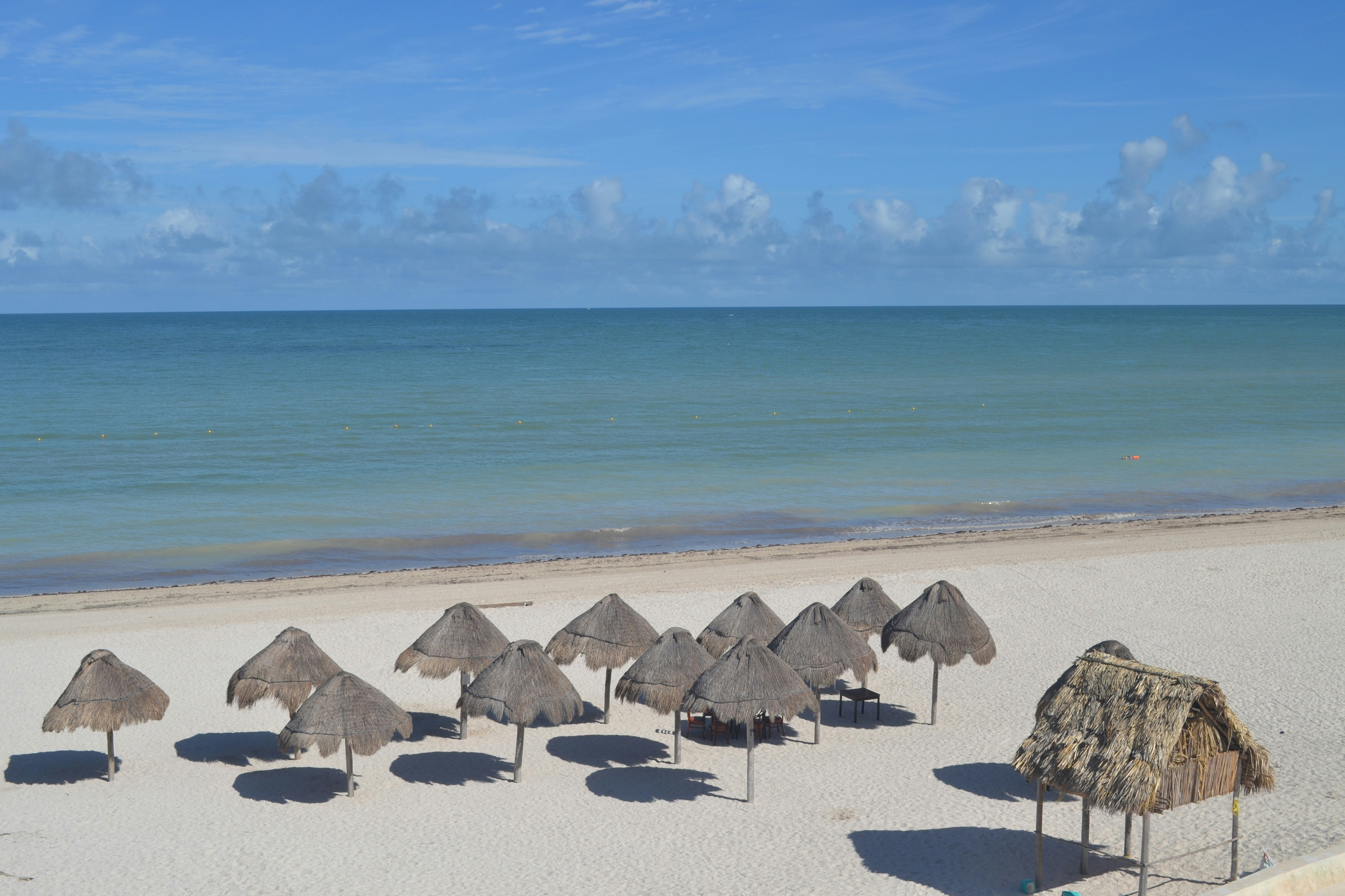 Thatched umbrellas line a pristine beach under a clear blue sky, inviting relaxation by the tranquil sea. The scene captures the essence of a peaceful getaway.