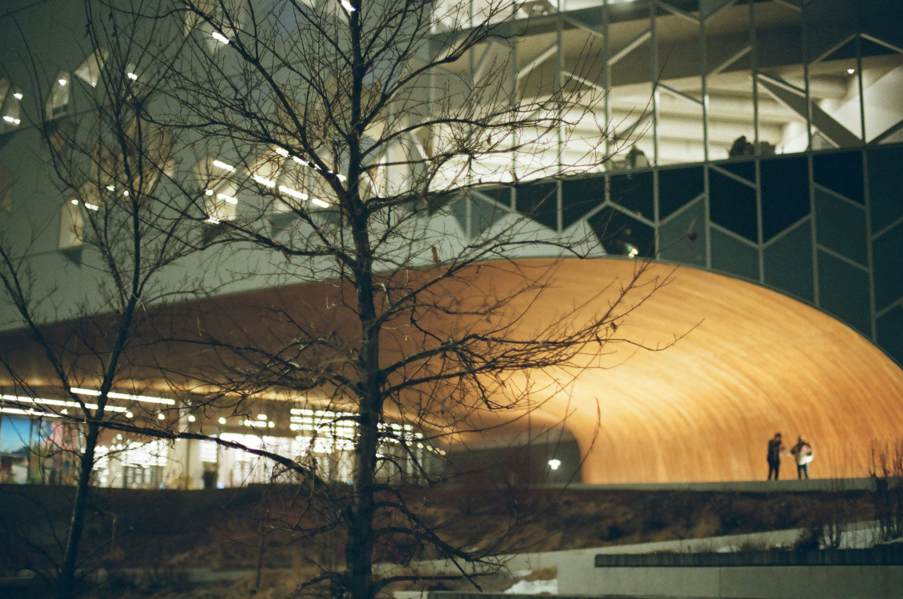 A sleek architectural design featuring a wooden overhang, illuminated by soft lighting, with silhouettes of people engaging below. The scene captures a blend of nature and contemporary structure.