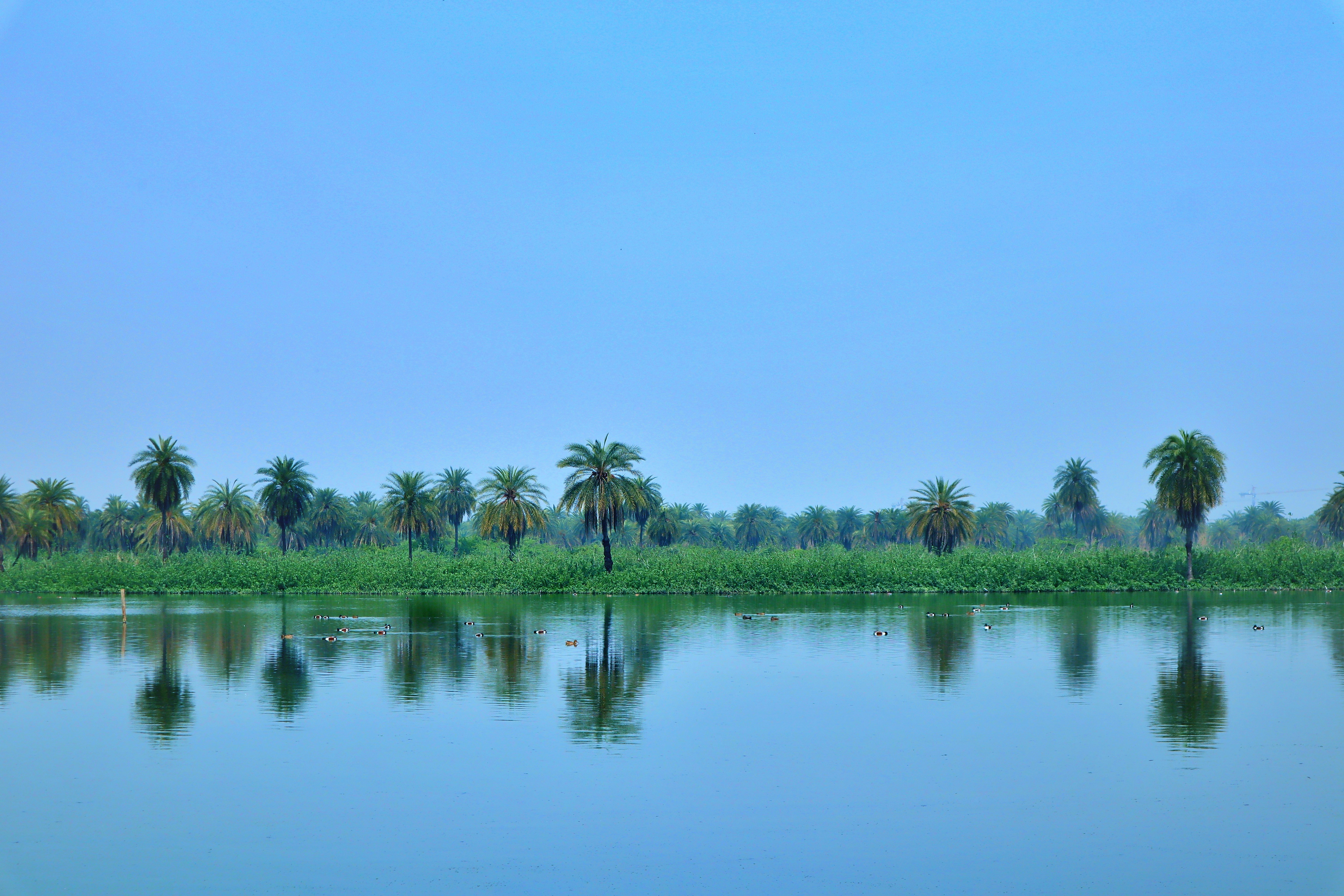 Manav Malik (@manav_13) | Unsplash Photo Community