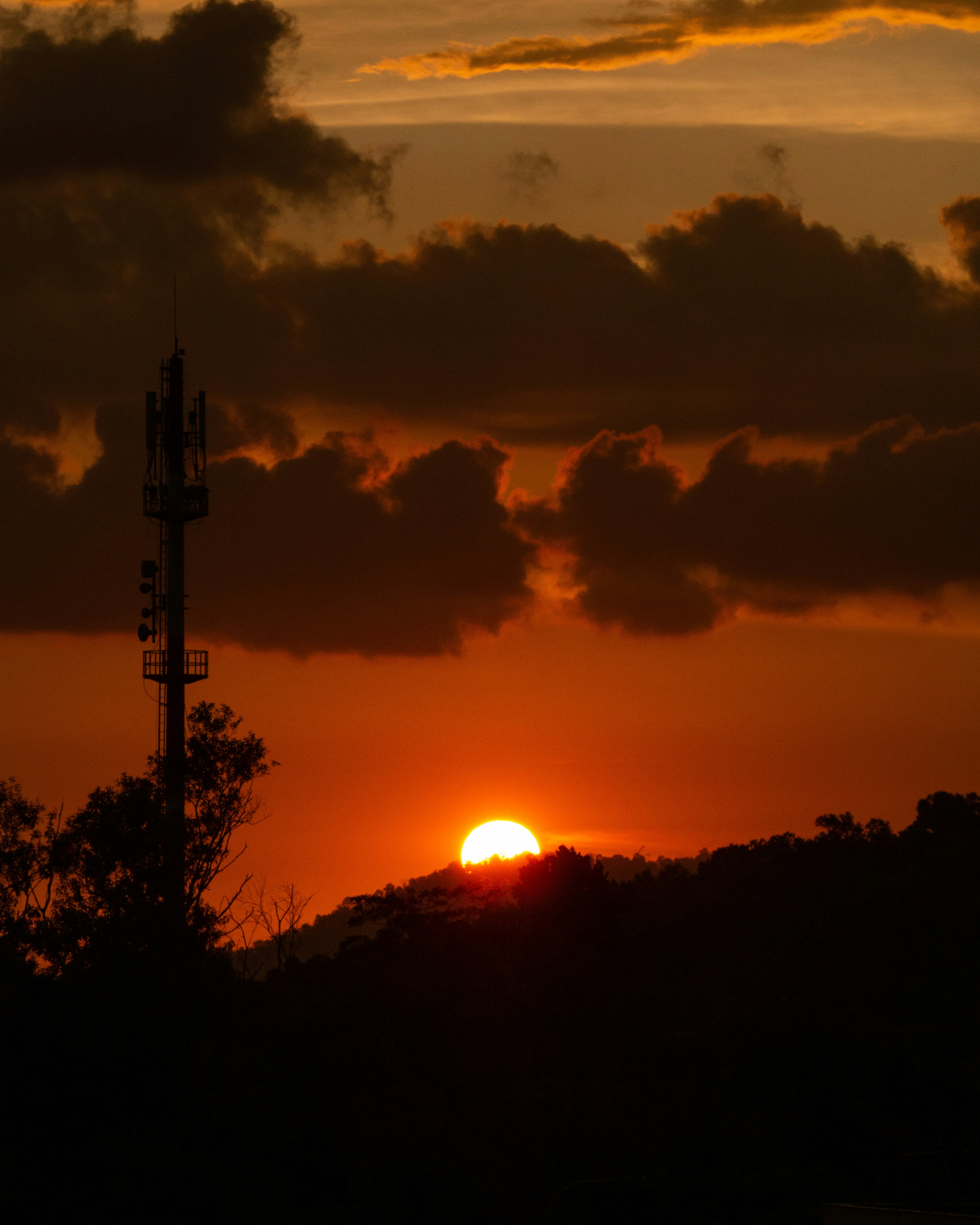 Crimson Horizon: Sunset Framed by Silent Pines and a Cell Tower