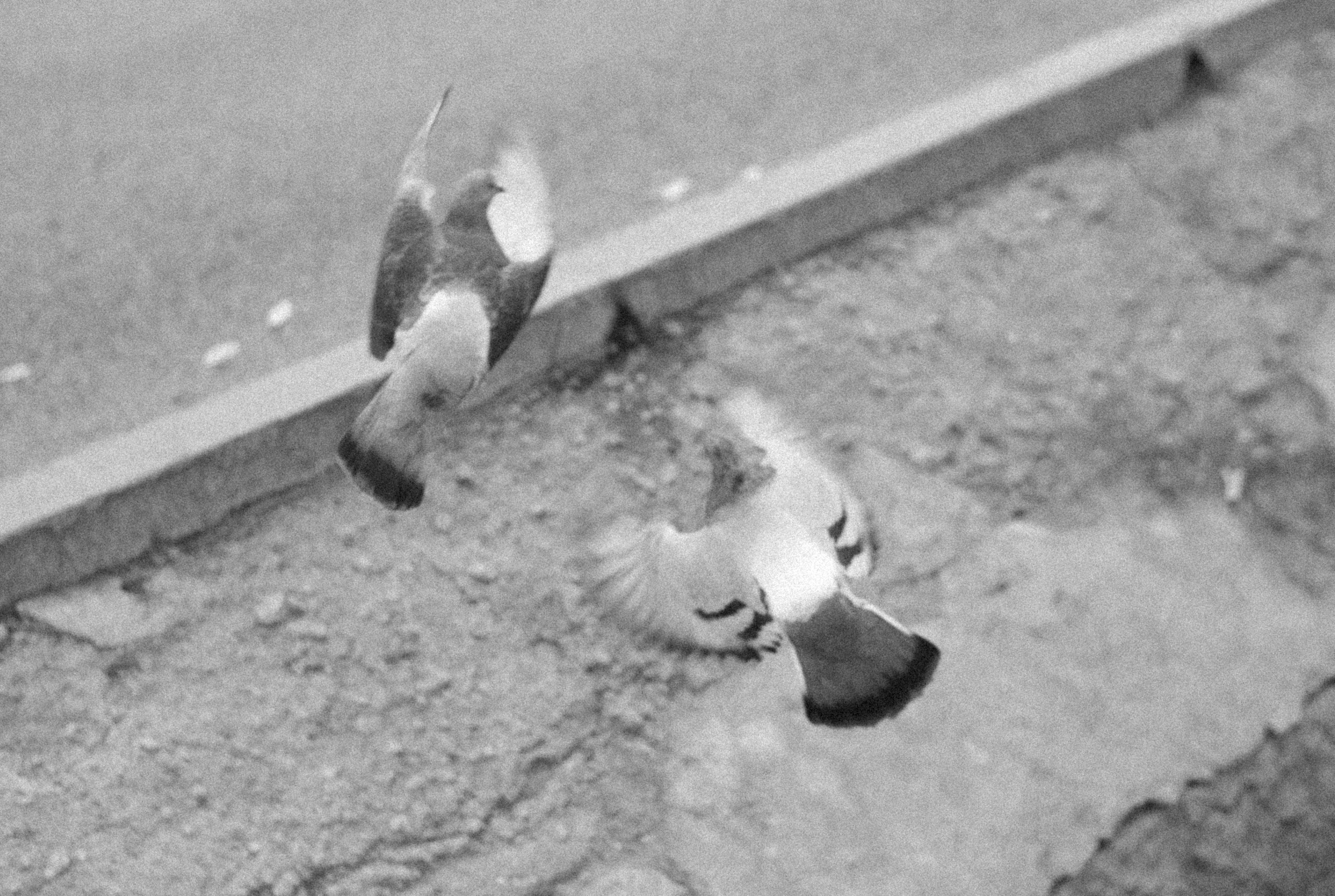 Winged Drift Over the Curb