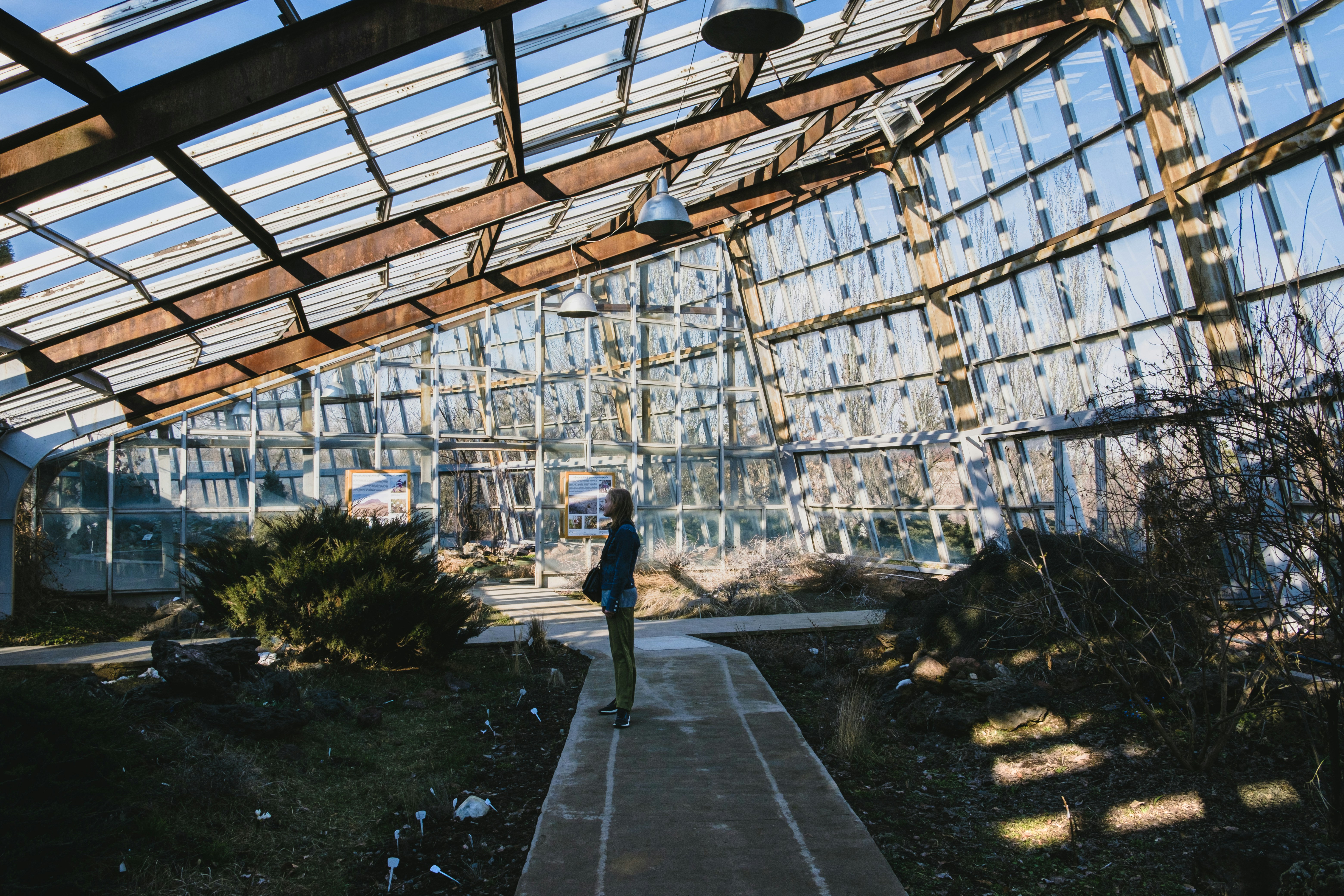 Path Through a Glasshouse: A Silent Figure in a Cathedral of Light