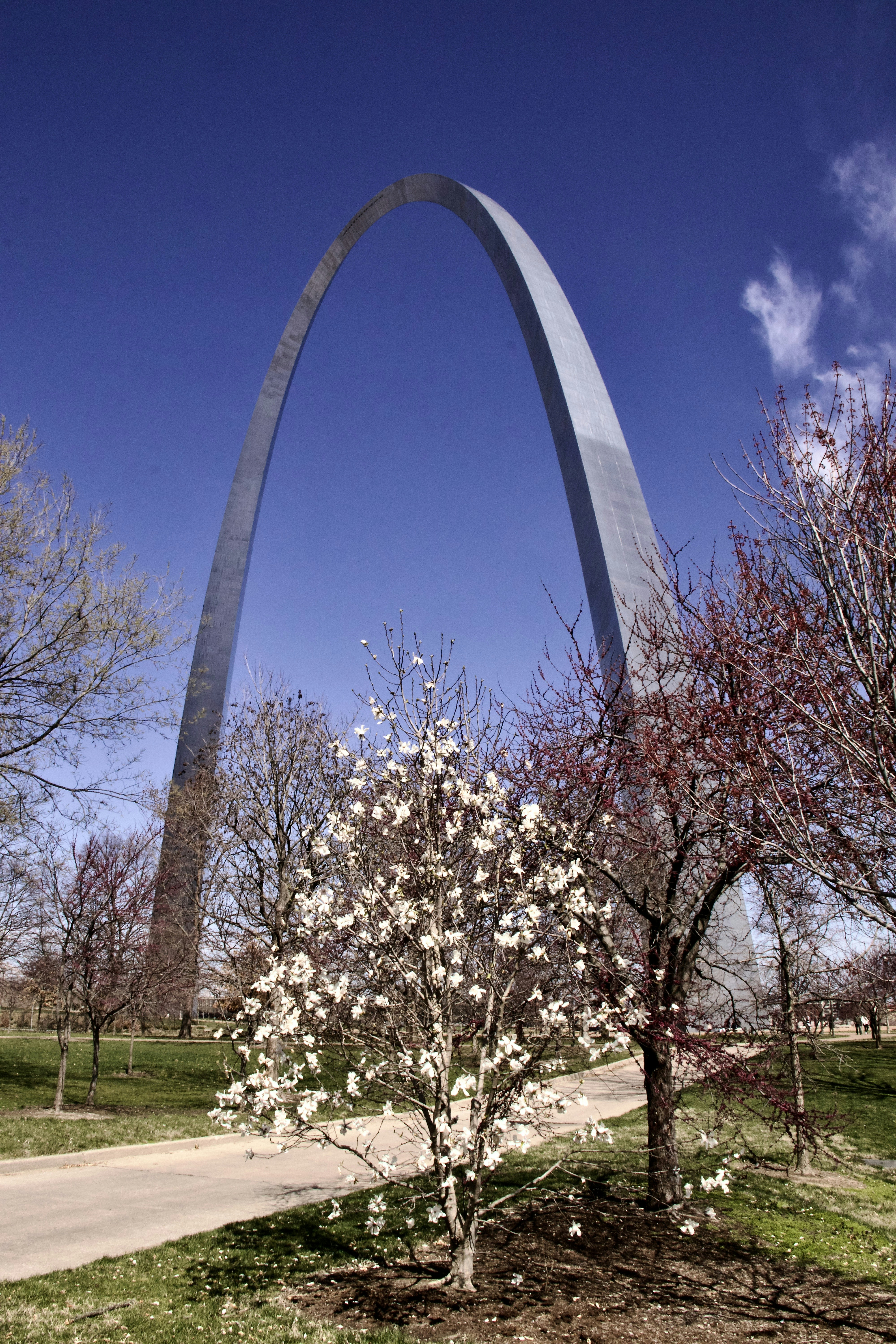 Gateway Arc Over Blossoming Courtyard