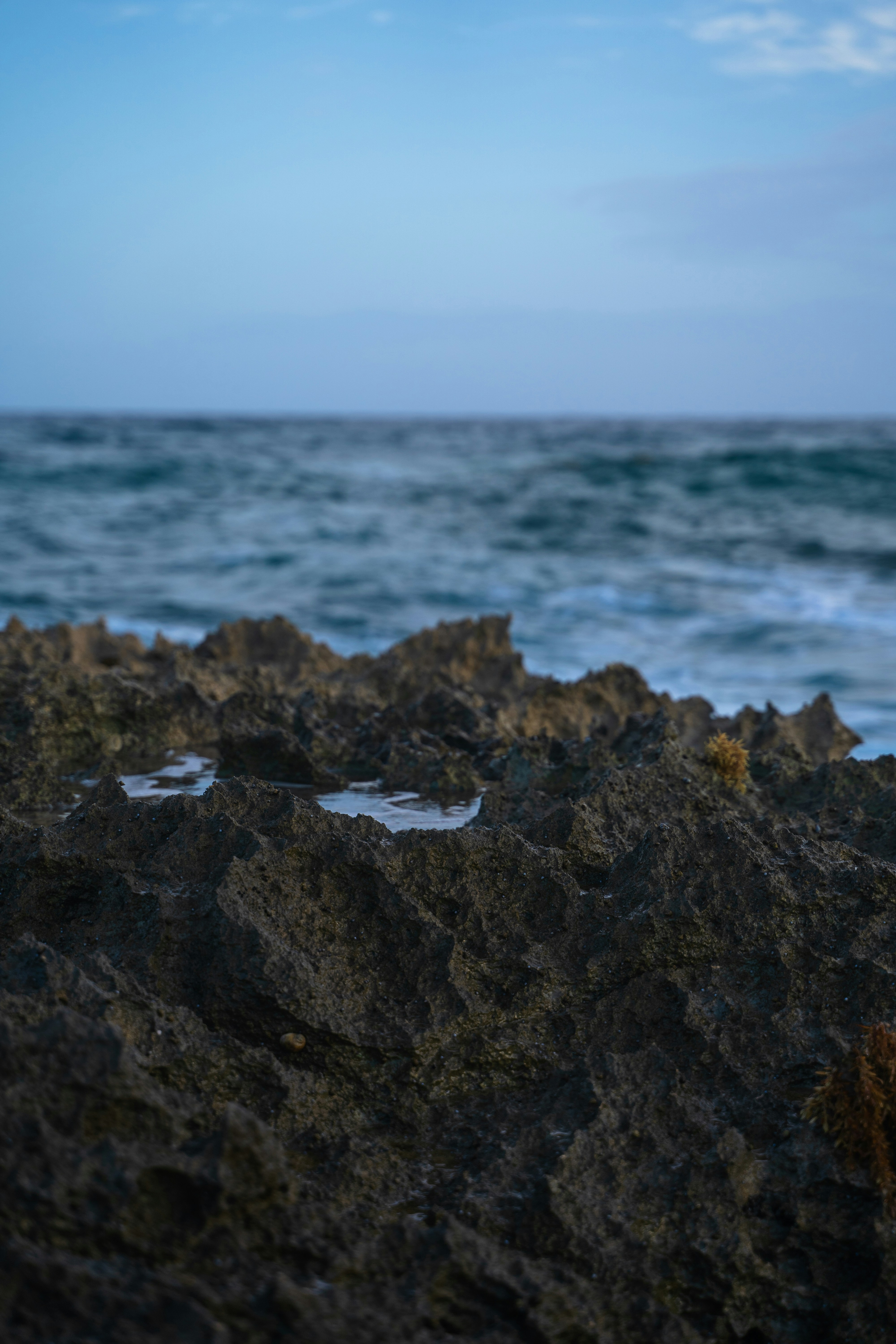 William Priess (@william_priess) | Komunitas Foto Unsplash