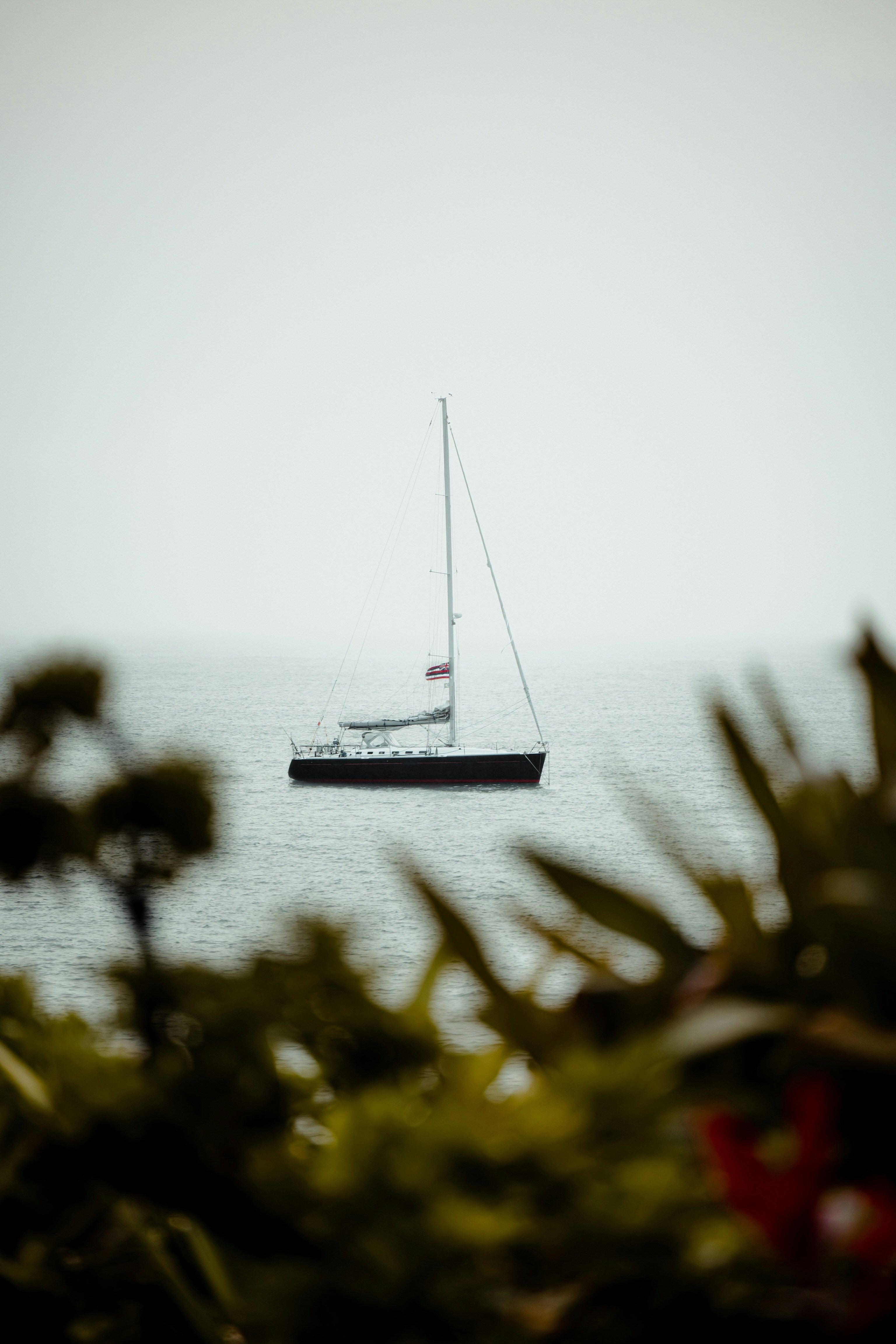 Mast in the Mist: Sailboat Framed by Quiet Garden Foliage