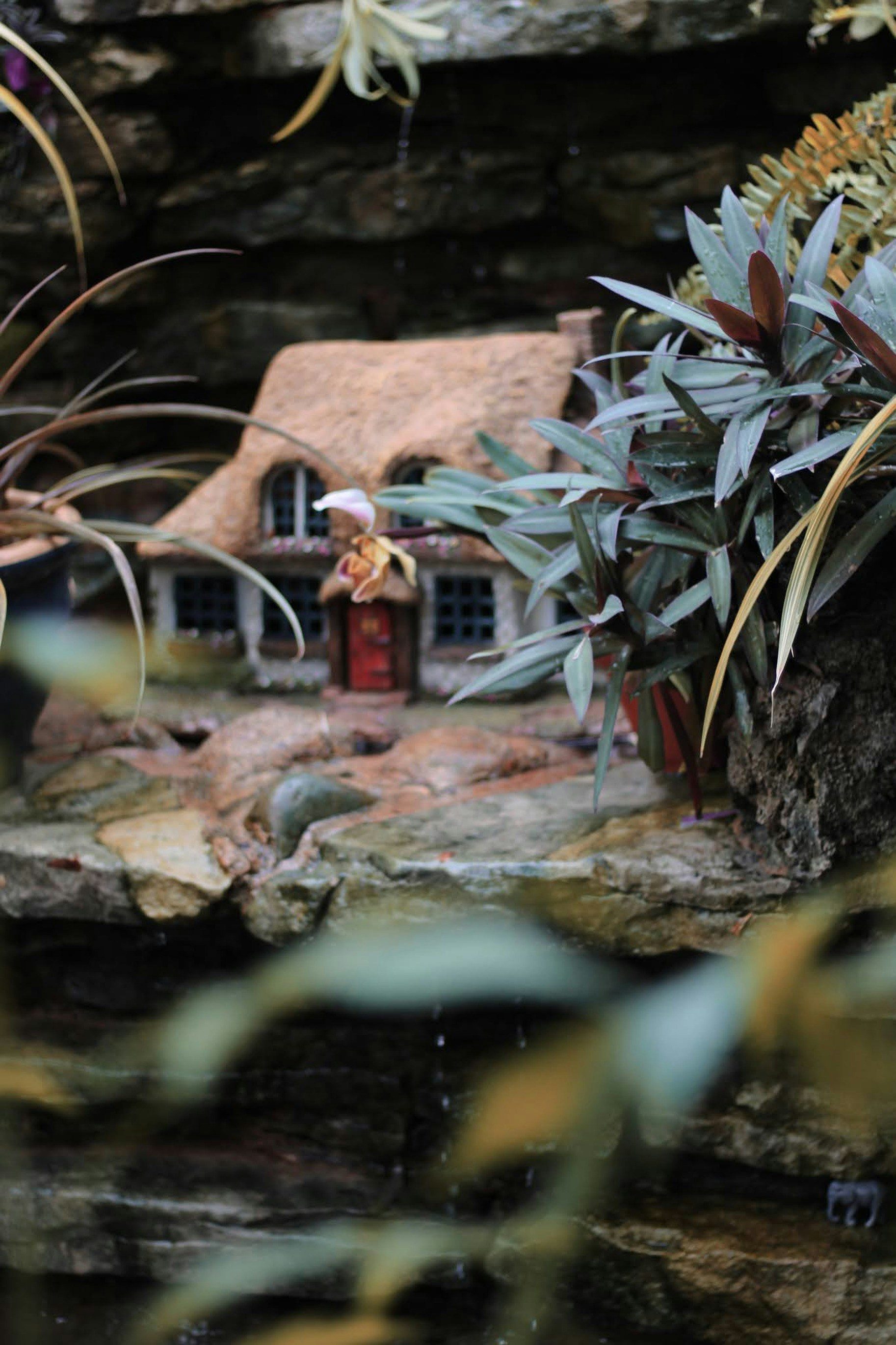 Thatched Micro-Cottage on a Rocky Ledge Framed by Succulents