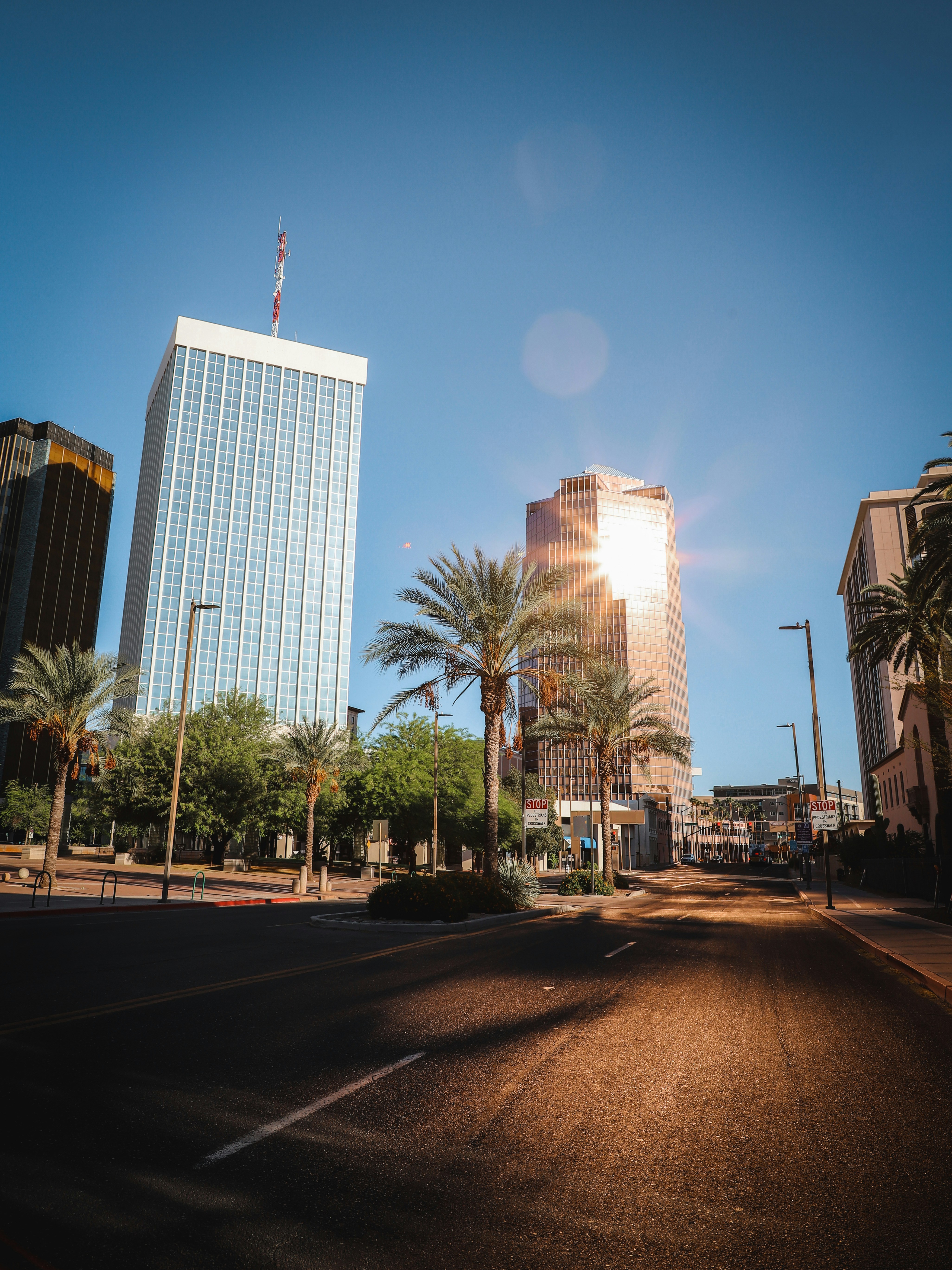 Downtown Tucson | a street with palm trees and tall buildings on either side of it