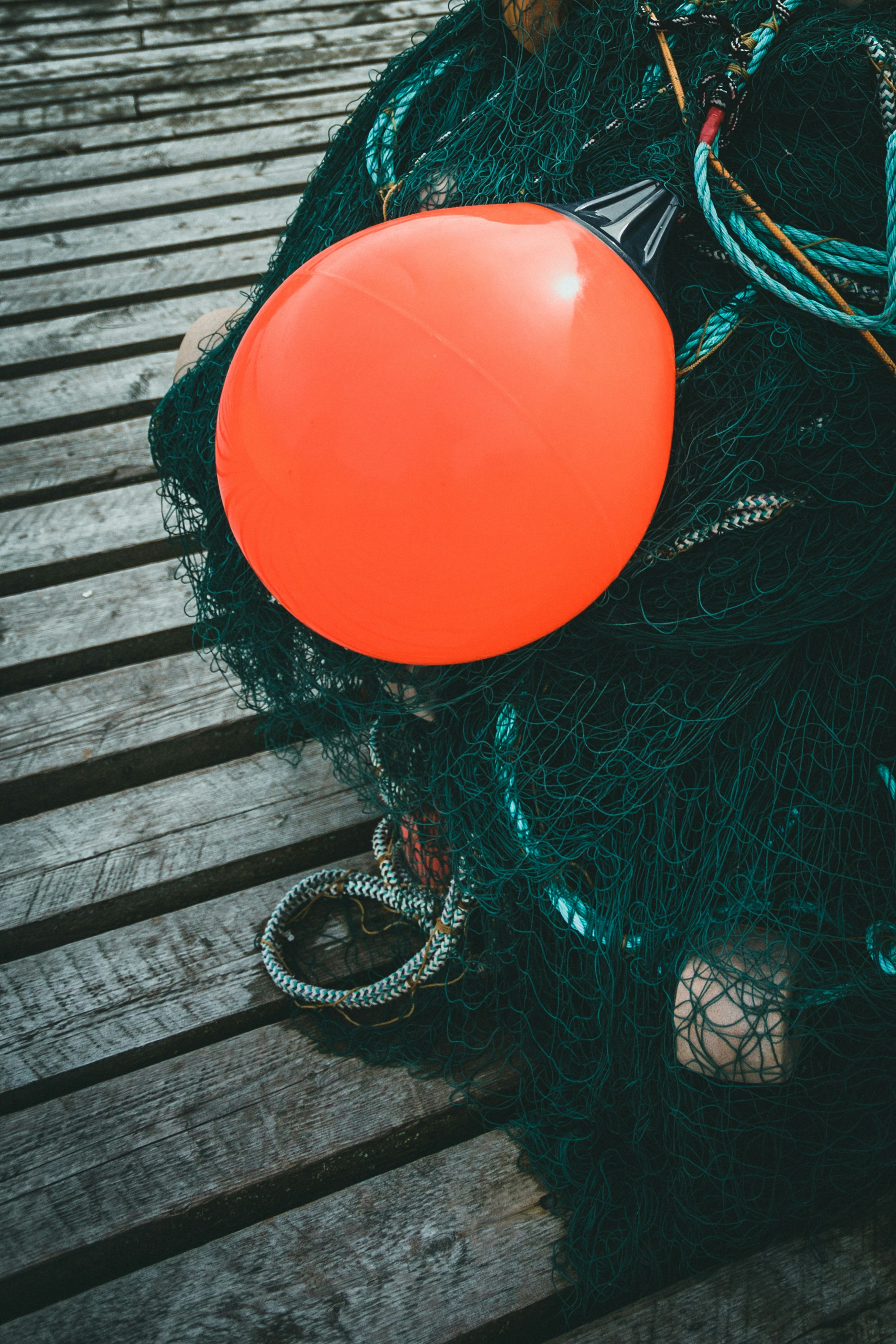 Crimson Buoy on a Tangle: Texture and Light on the Dock
