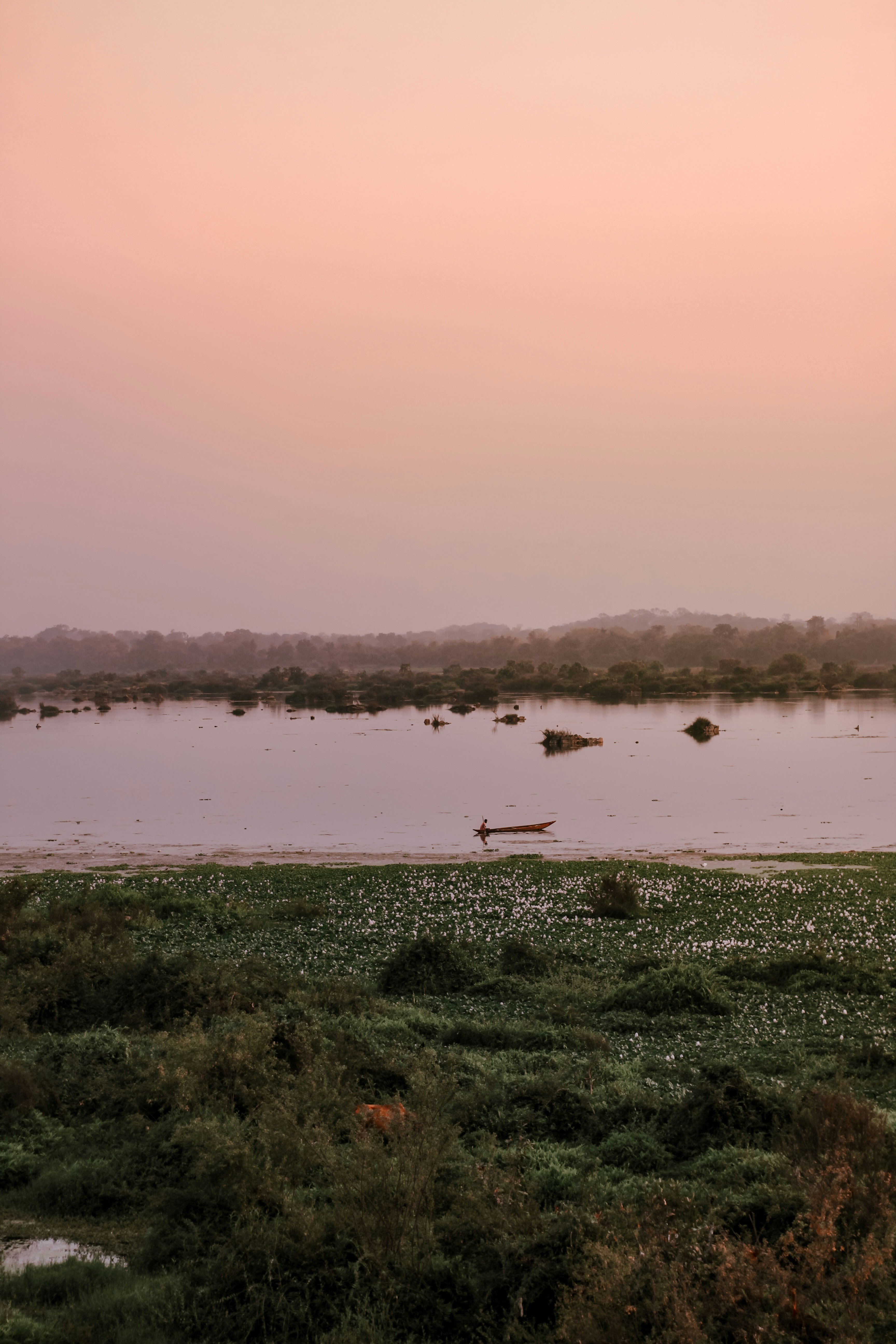 Rose-tinged Marsh: A Lone Boat Glides Across Calm Waters