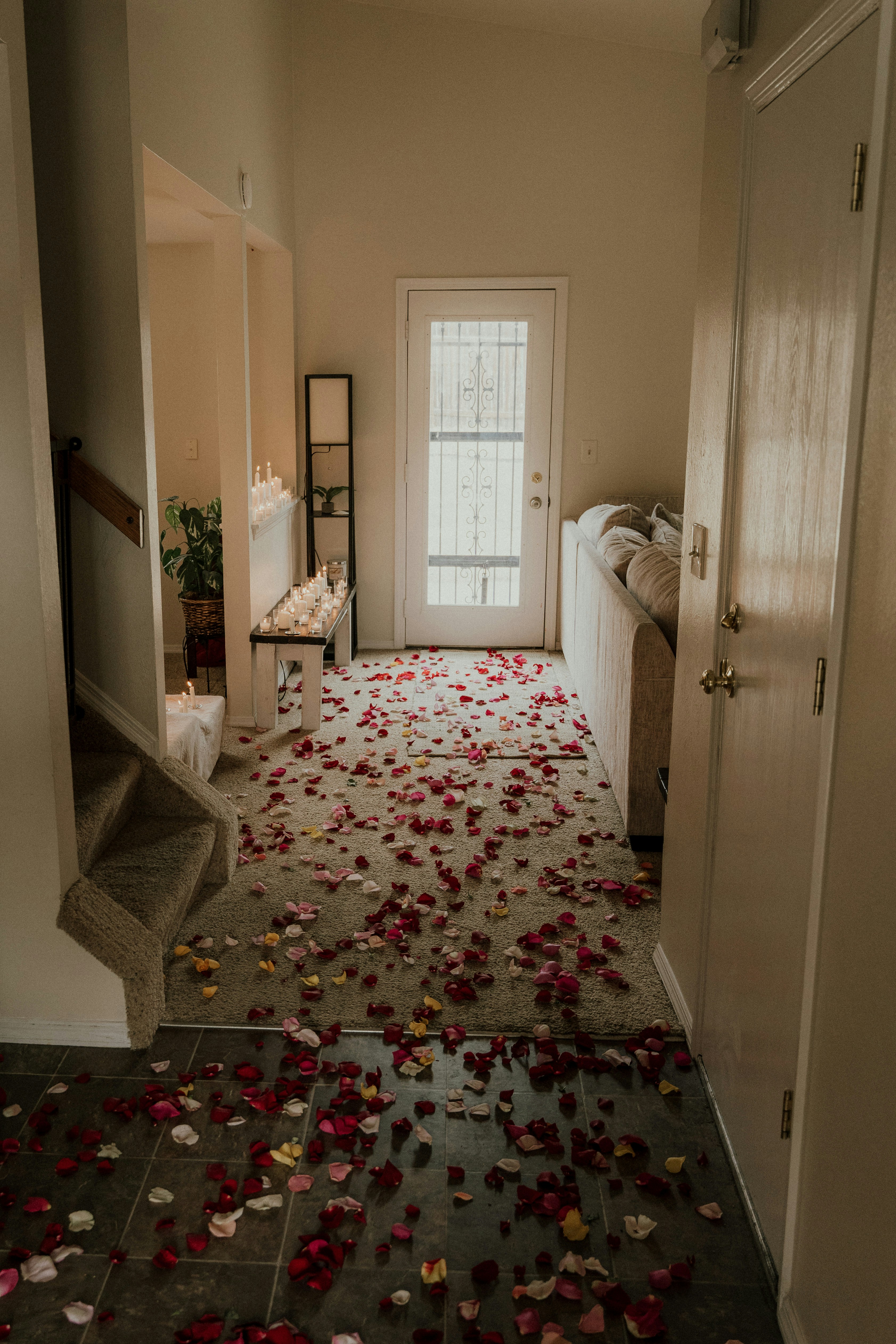 Petals on a Quiet Hall: A Dawn-lit Path to the Front Door