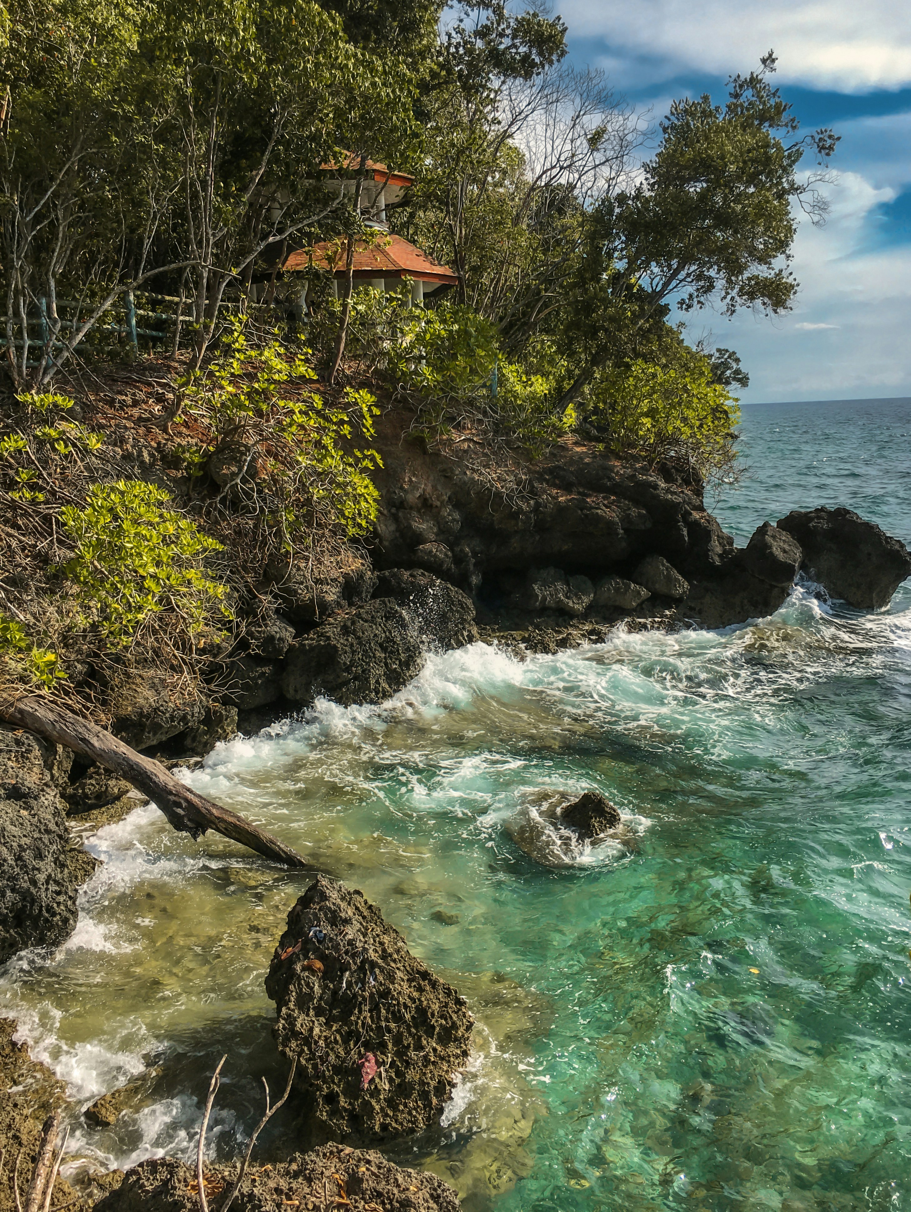 Lush greenery frames rocky coastline as waves gently crash against the shore, revealing vibrant turquoise waters.