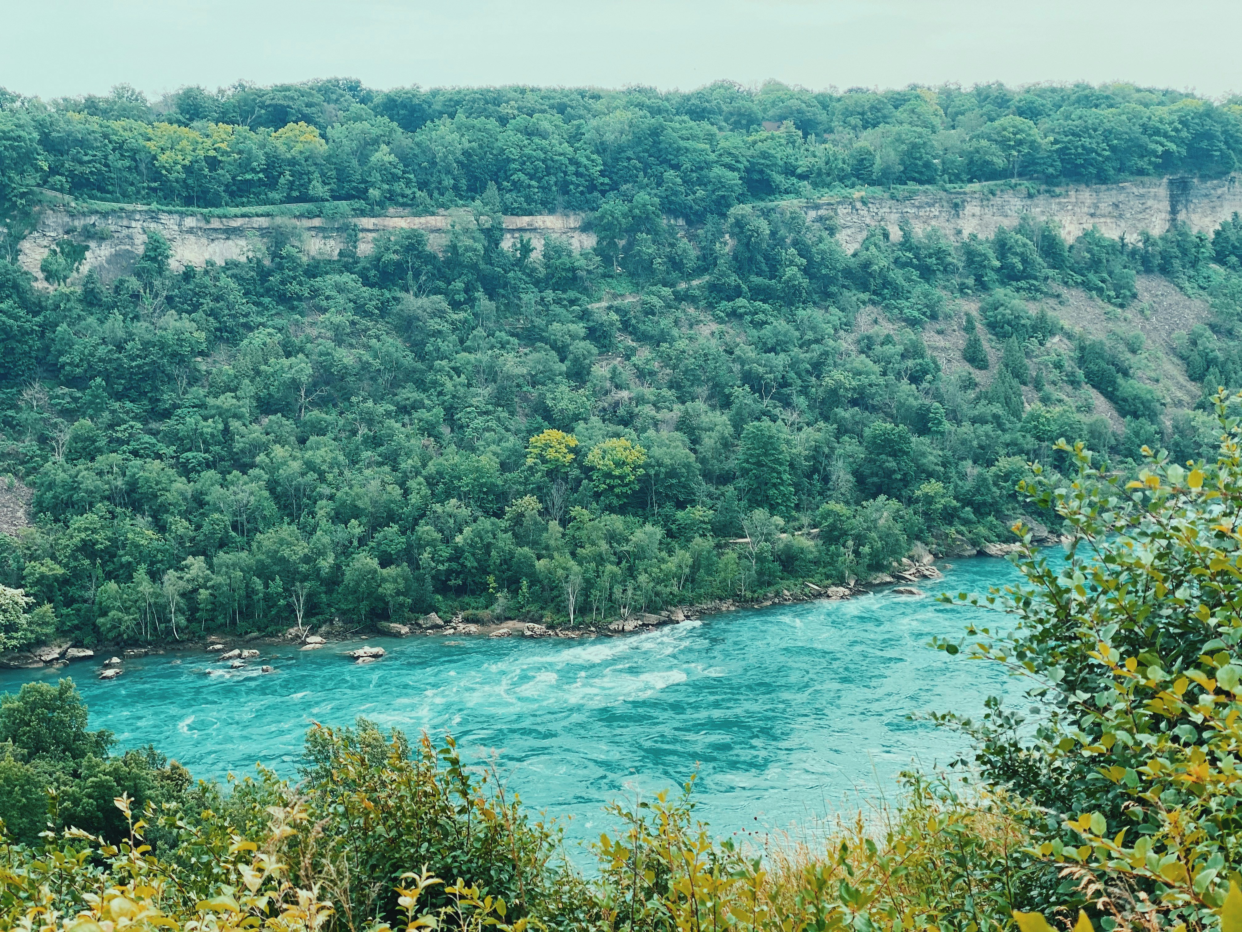 Lush green forest framing the turquoise waters of the Niagara River under a misty sky.