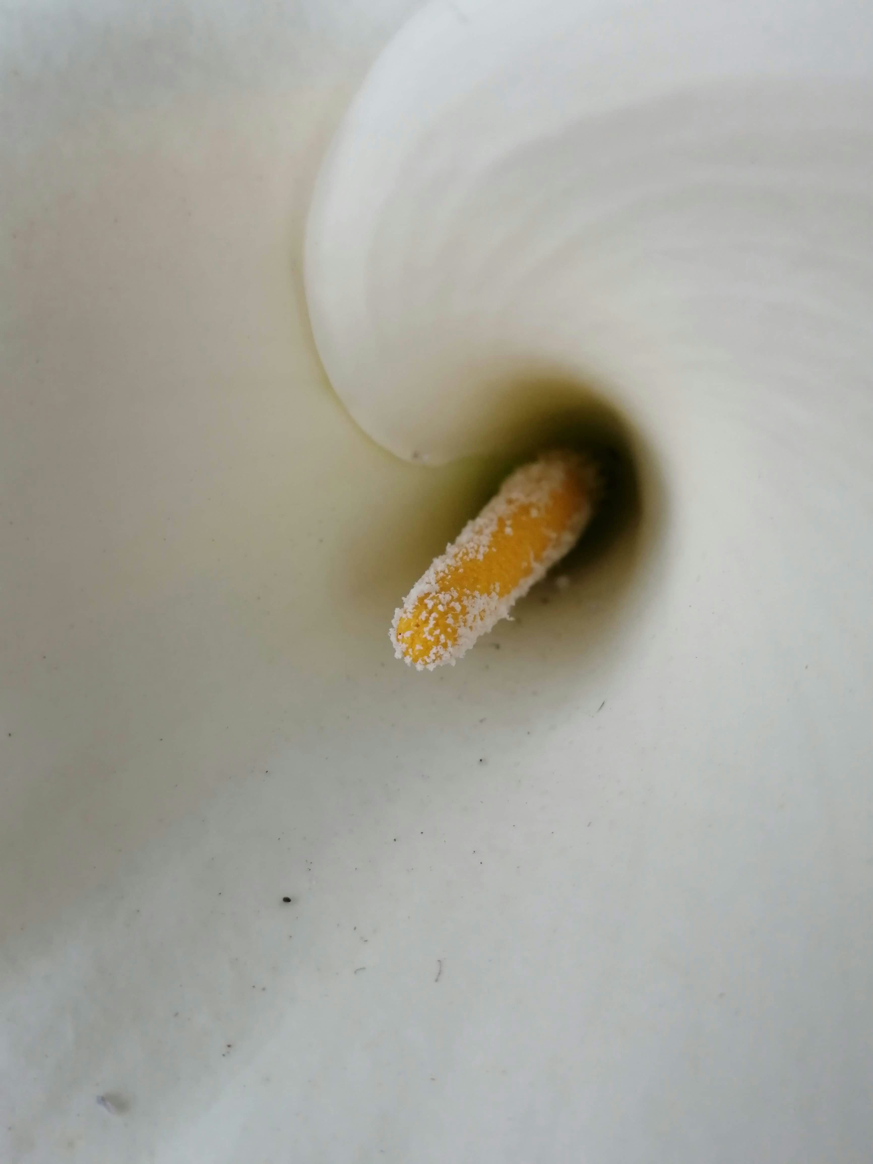 a white substance in a white container