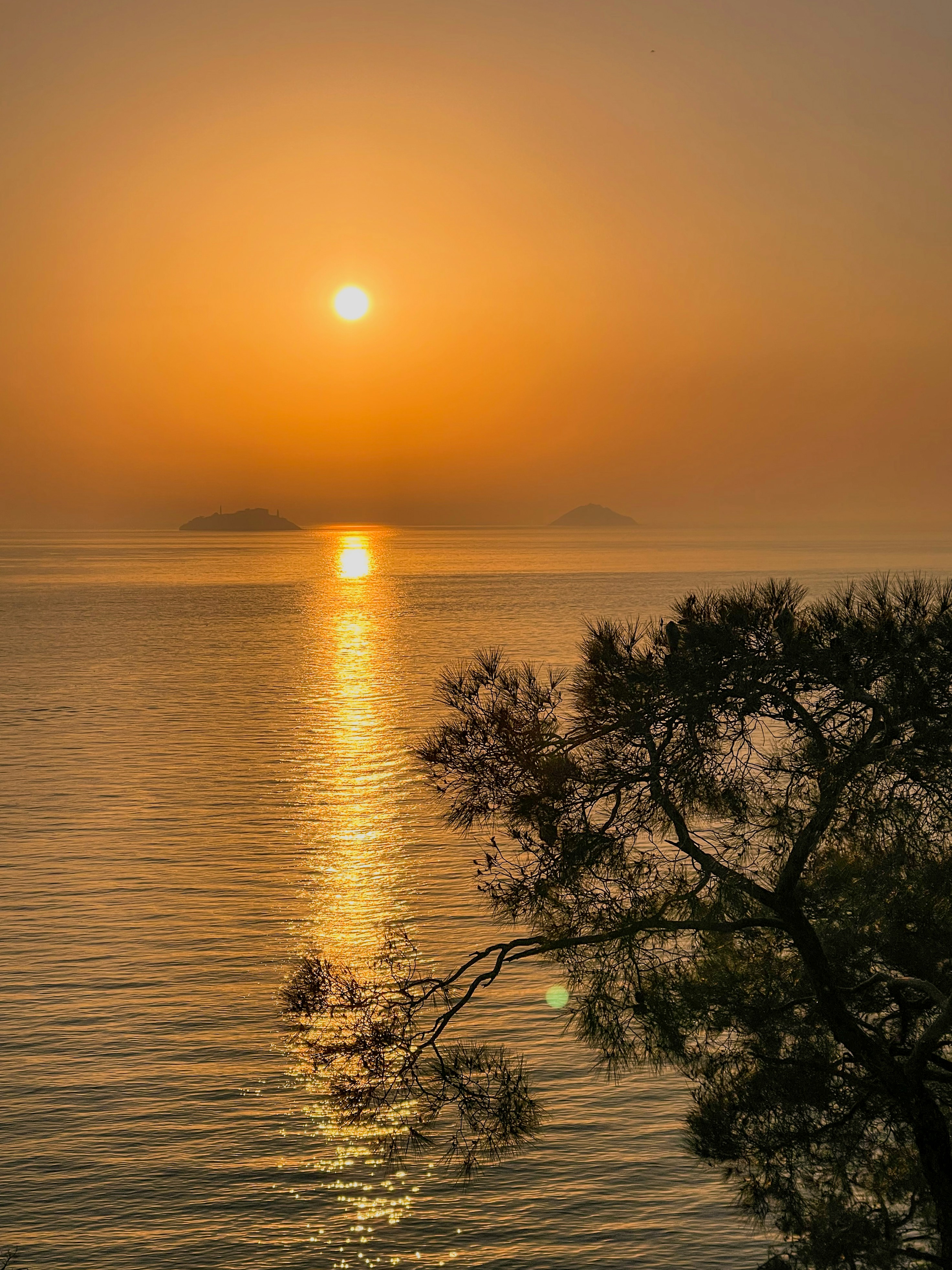 Golden sunset reflecting on calm waters, framed by a silhouette of tree branches. Two distant islands emerge from the haze.