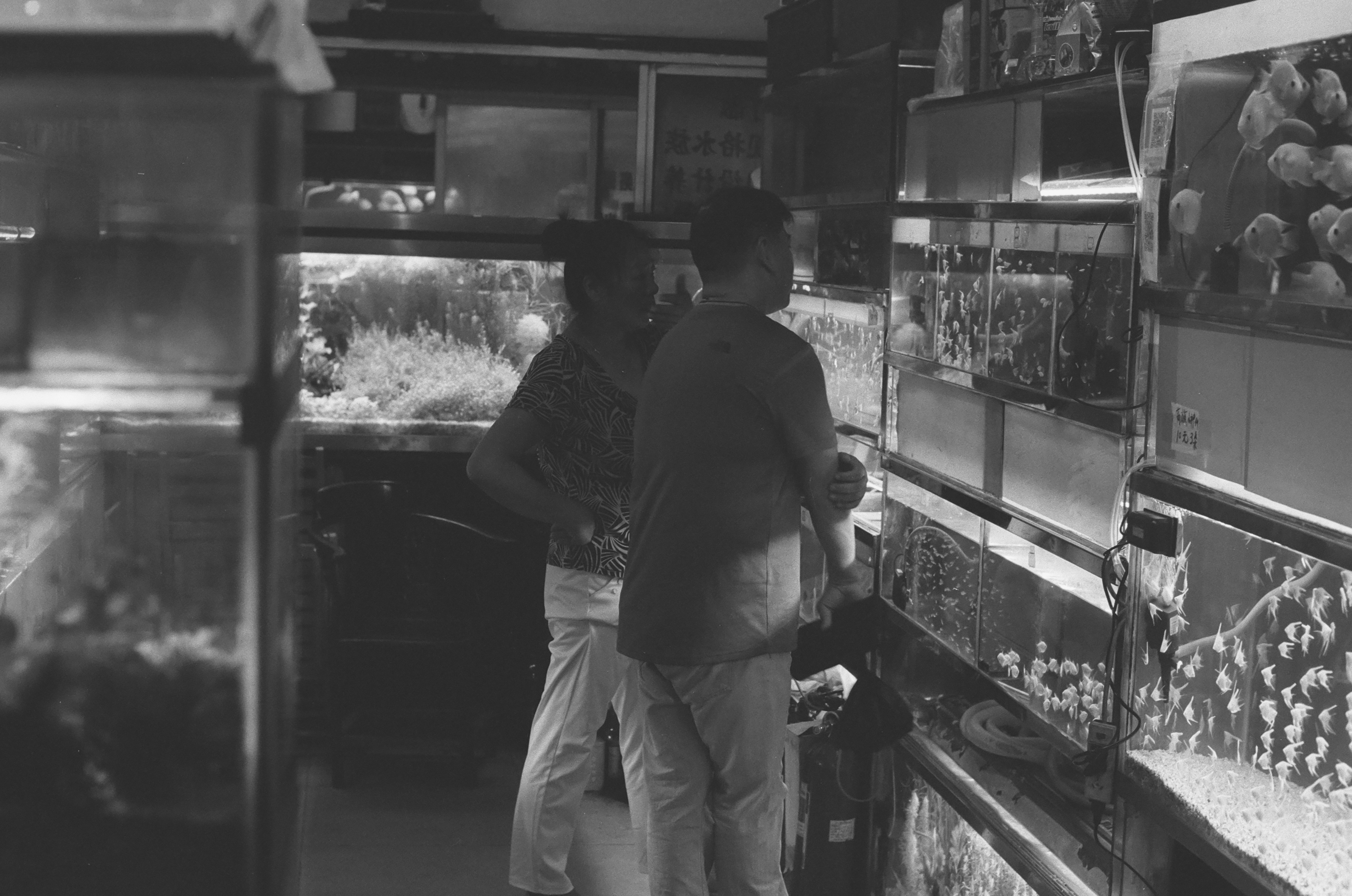 Black-and-white photograph of three people inspecting fish tanks along a market display.