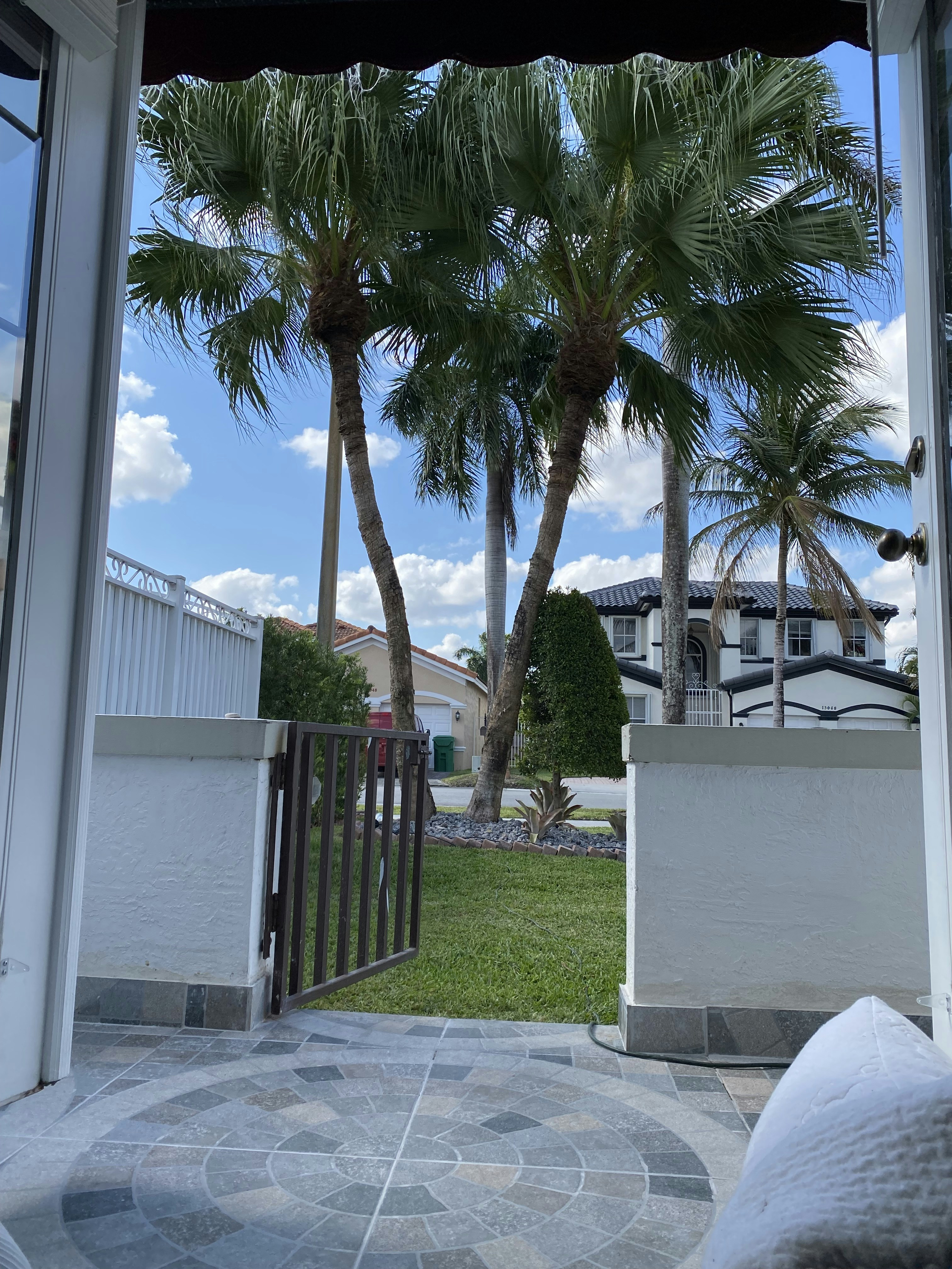 A gate with palm trees and buildings in the background photo – Free ...