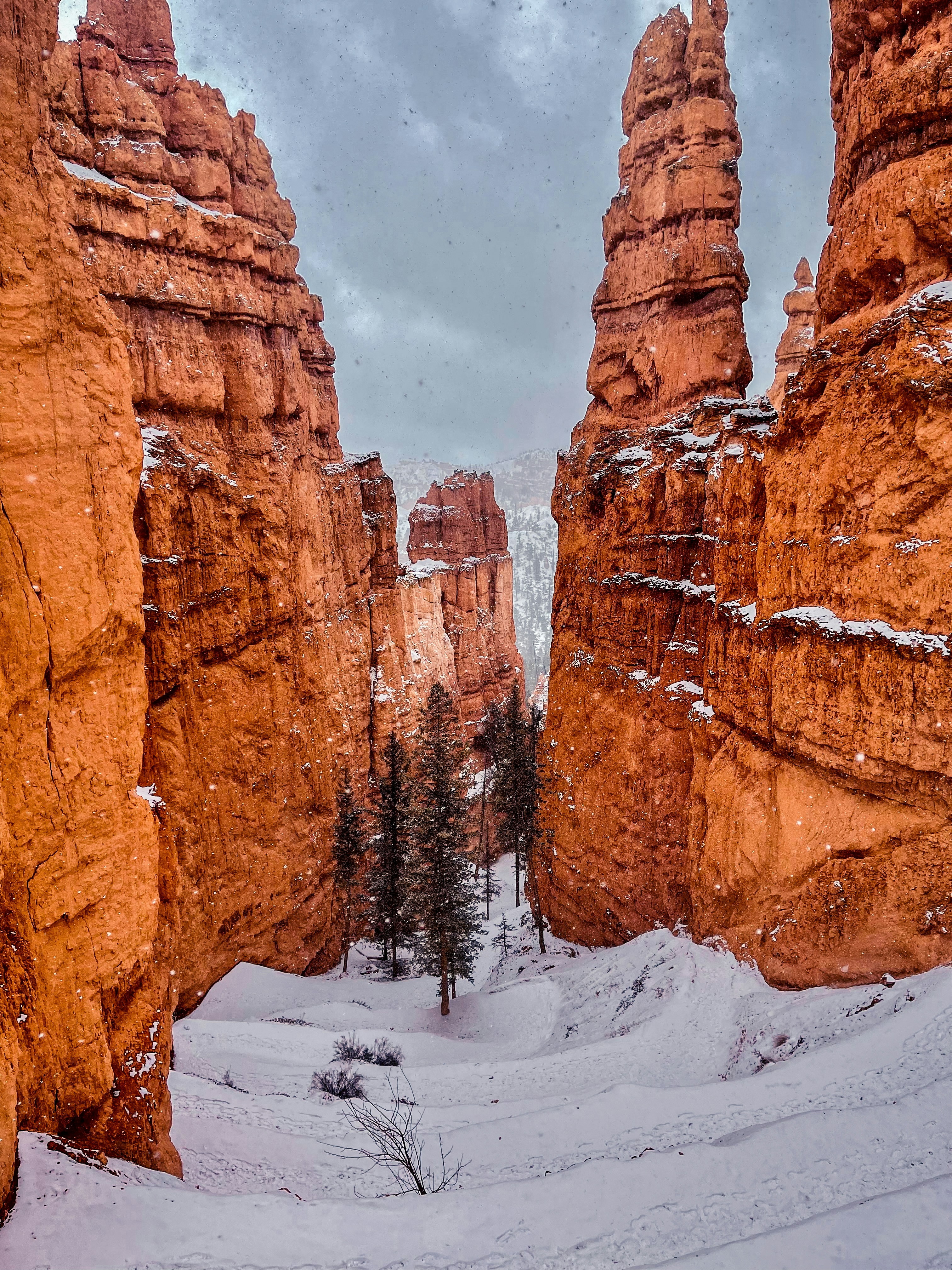 A snowy canyon with tall red cliffs photo – Free Utah Image on Unsplash