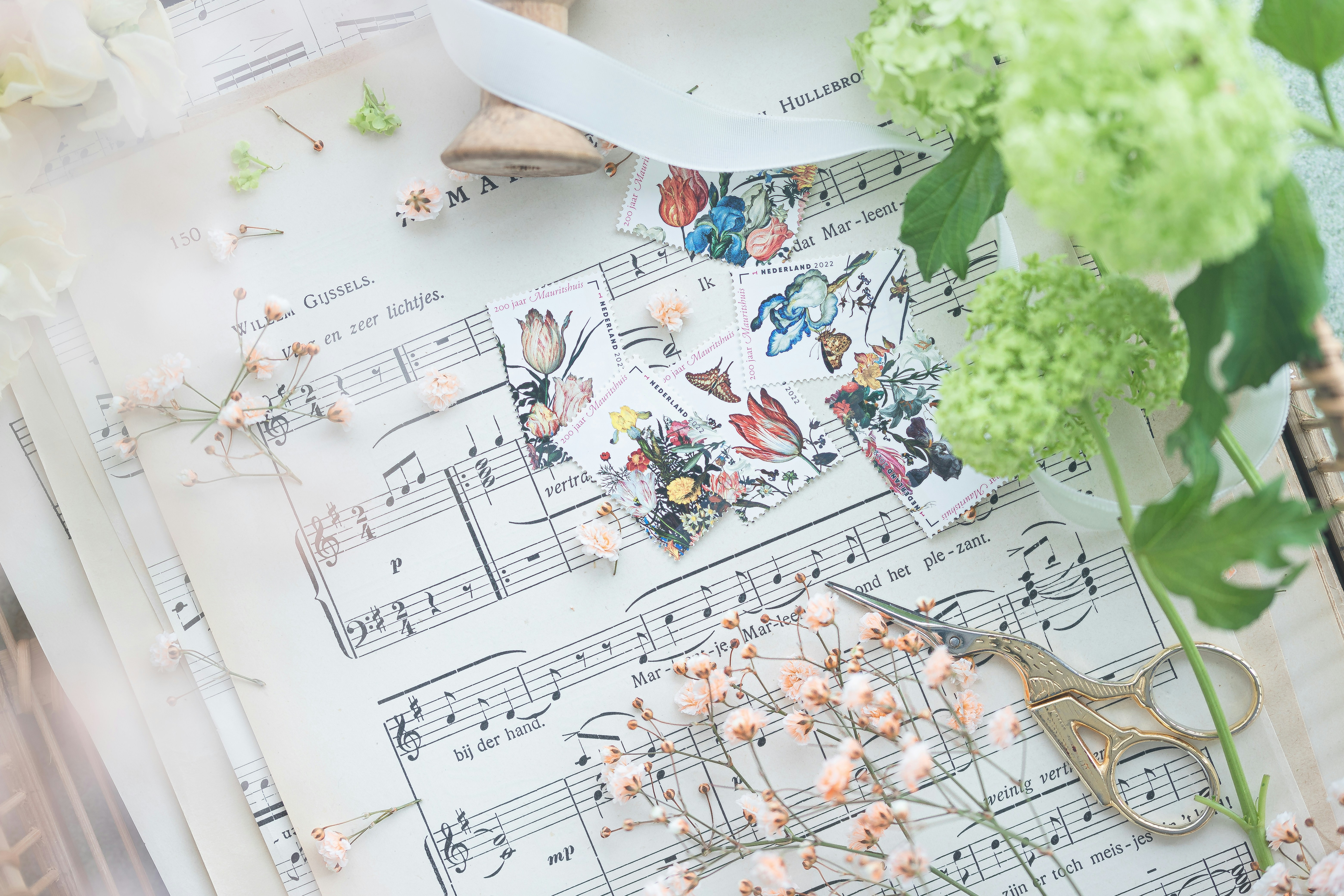 Floral Sheet Music: A Delicate Still Life of Song and Spring