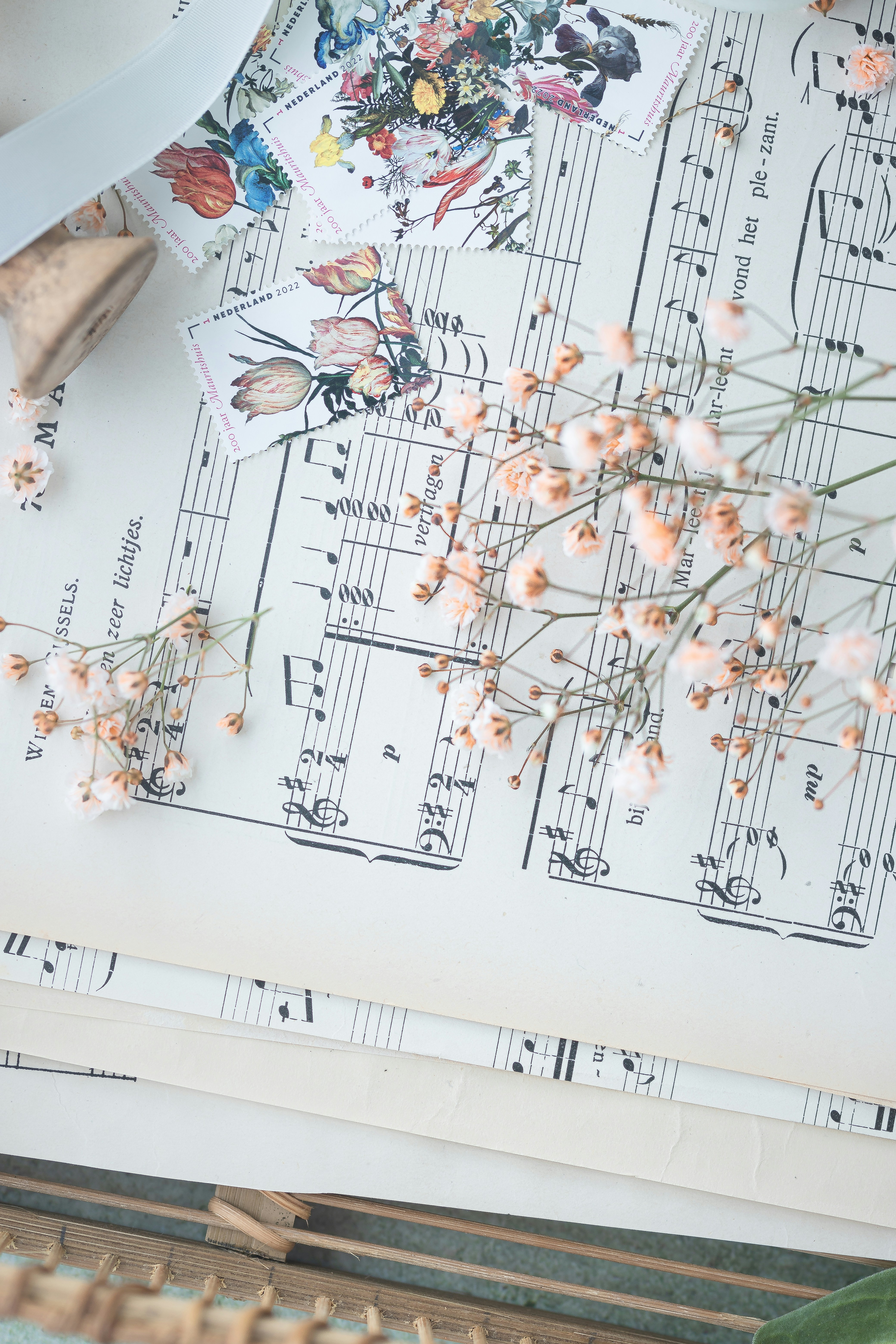 Sheet music with floral stationery and dried blossoms arranged artistically in soft light. A quiet, decorative still life emphasizing vintage musical elements.