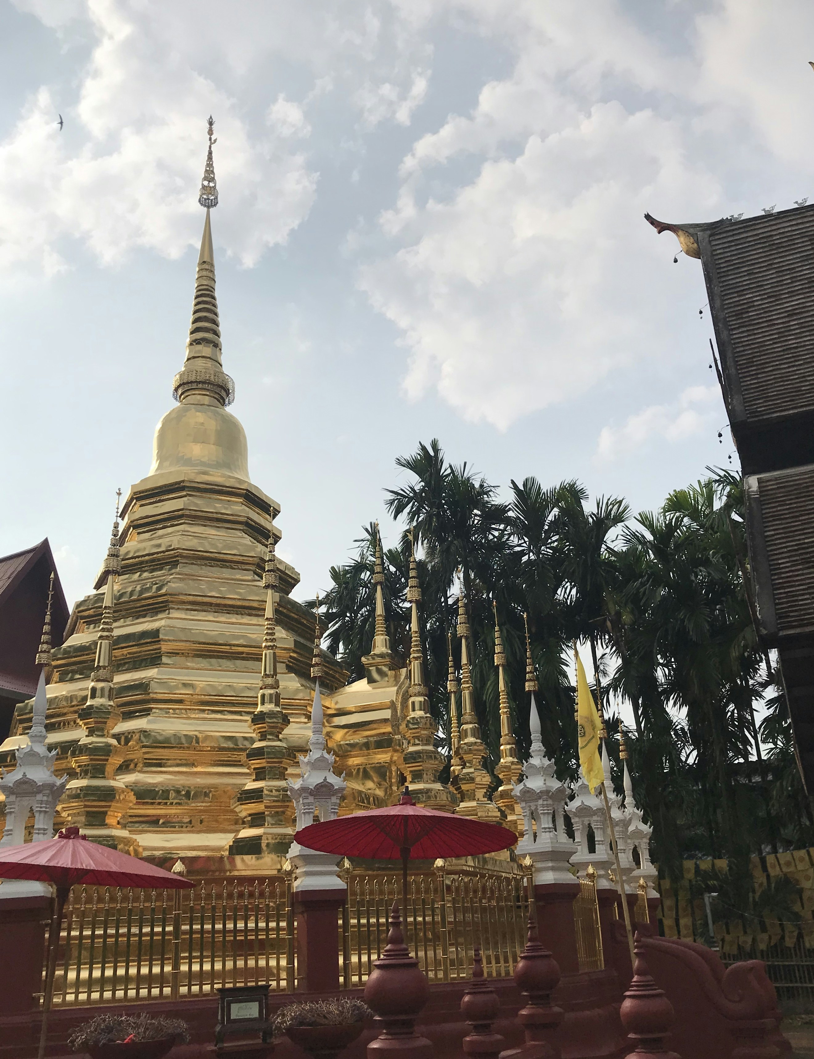 A building with a tall pointy tower and trees in the front photo – Free ...