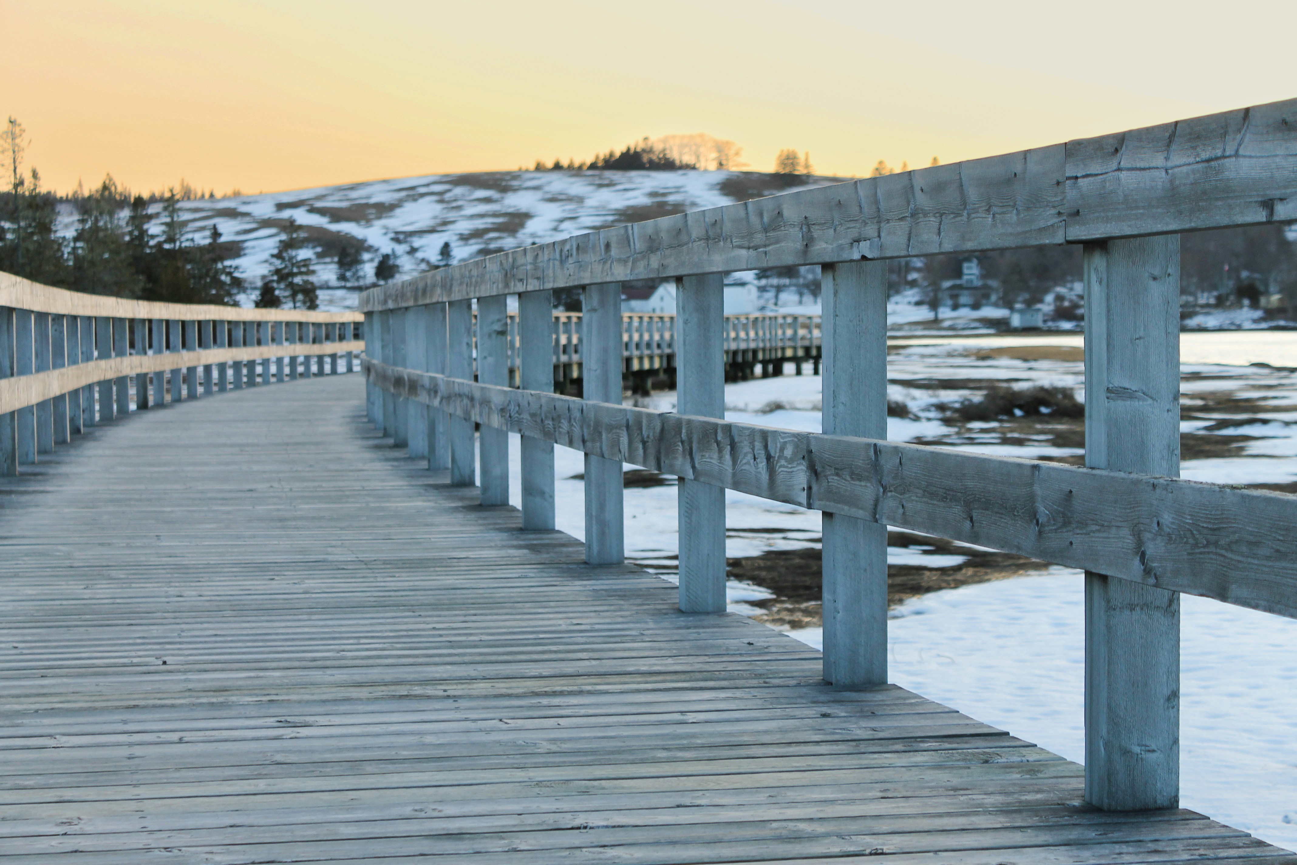 A wooden bridge over water photo – Free Grey Image on Unsplash