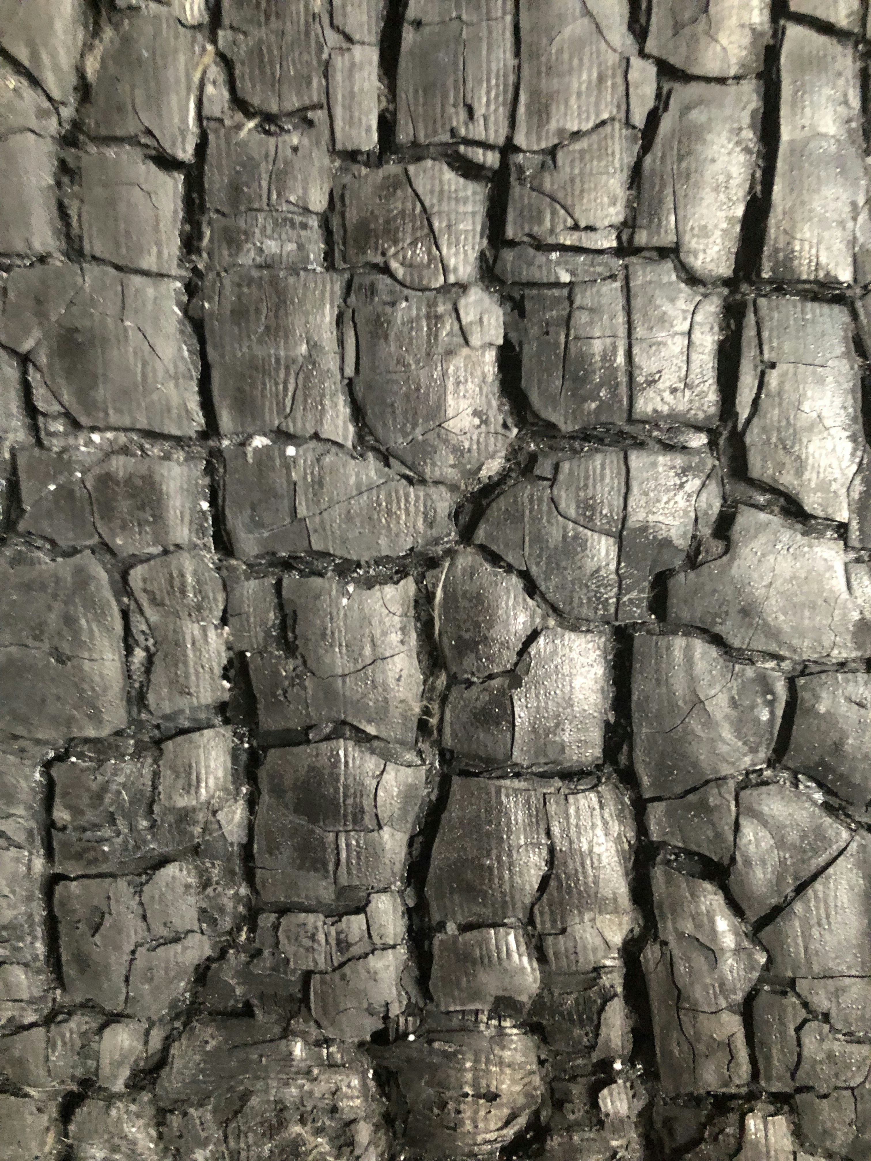 Close-up of a charred wooden surface, showcasing intricate patterns and textures formed by fire. The image highlights the striking contrast between dark and light areas.