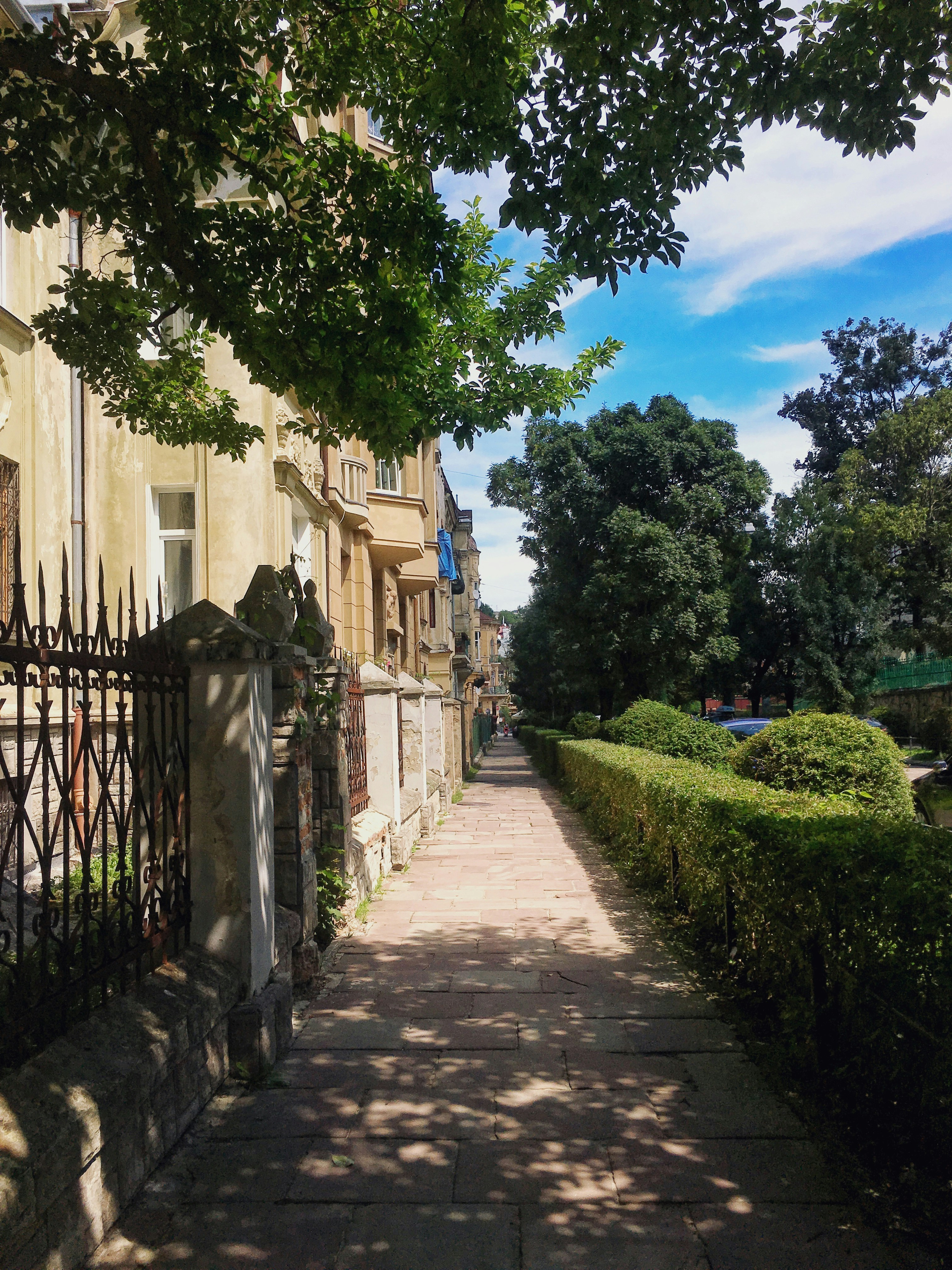 Canopy Corridor: A Sun-Dappled Walk Between Townhouse Façades