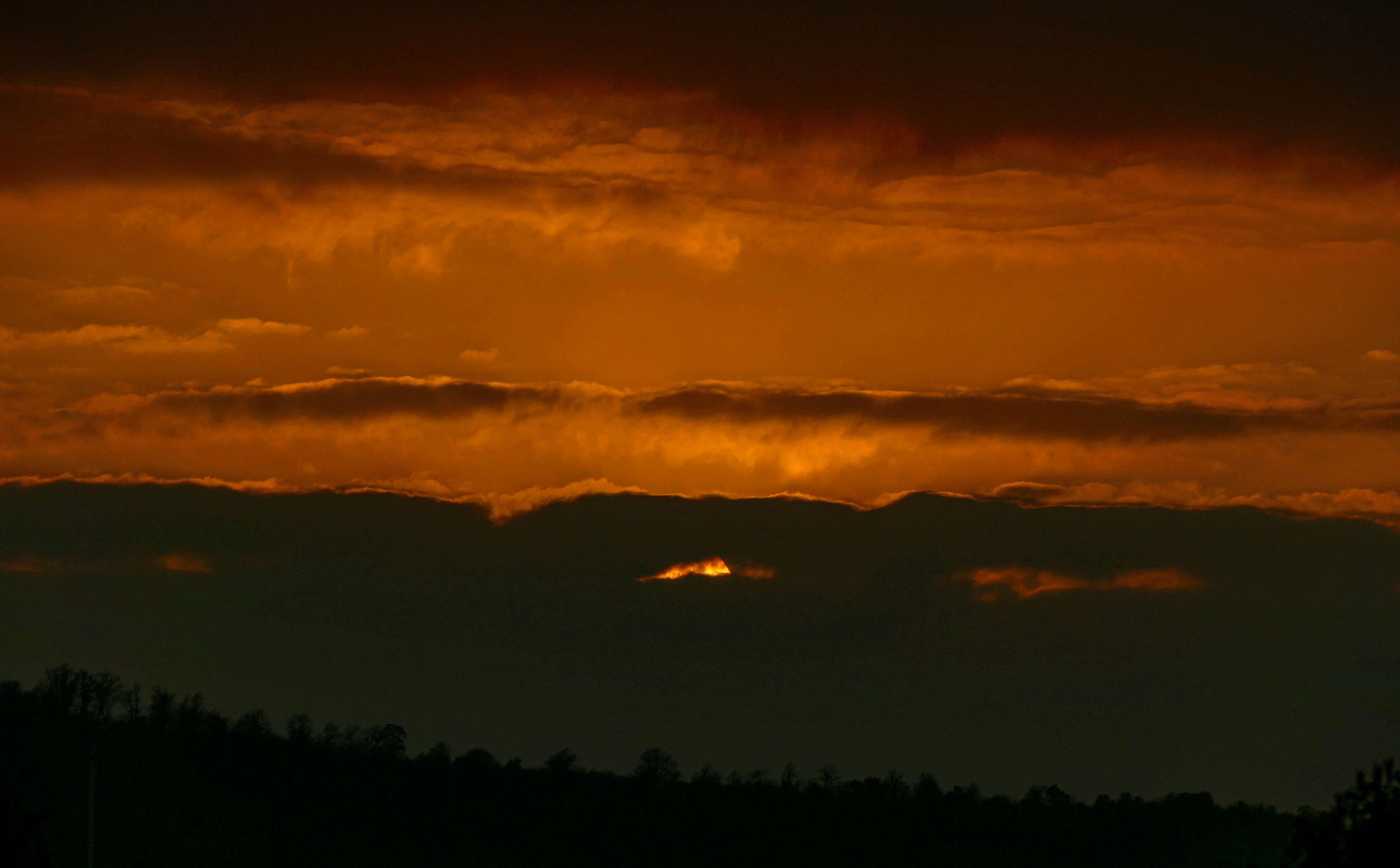 A sunset over a forest photo – Free Landscape nature Image on Unsplash