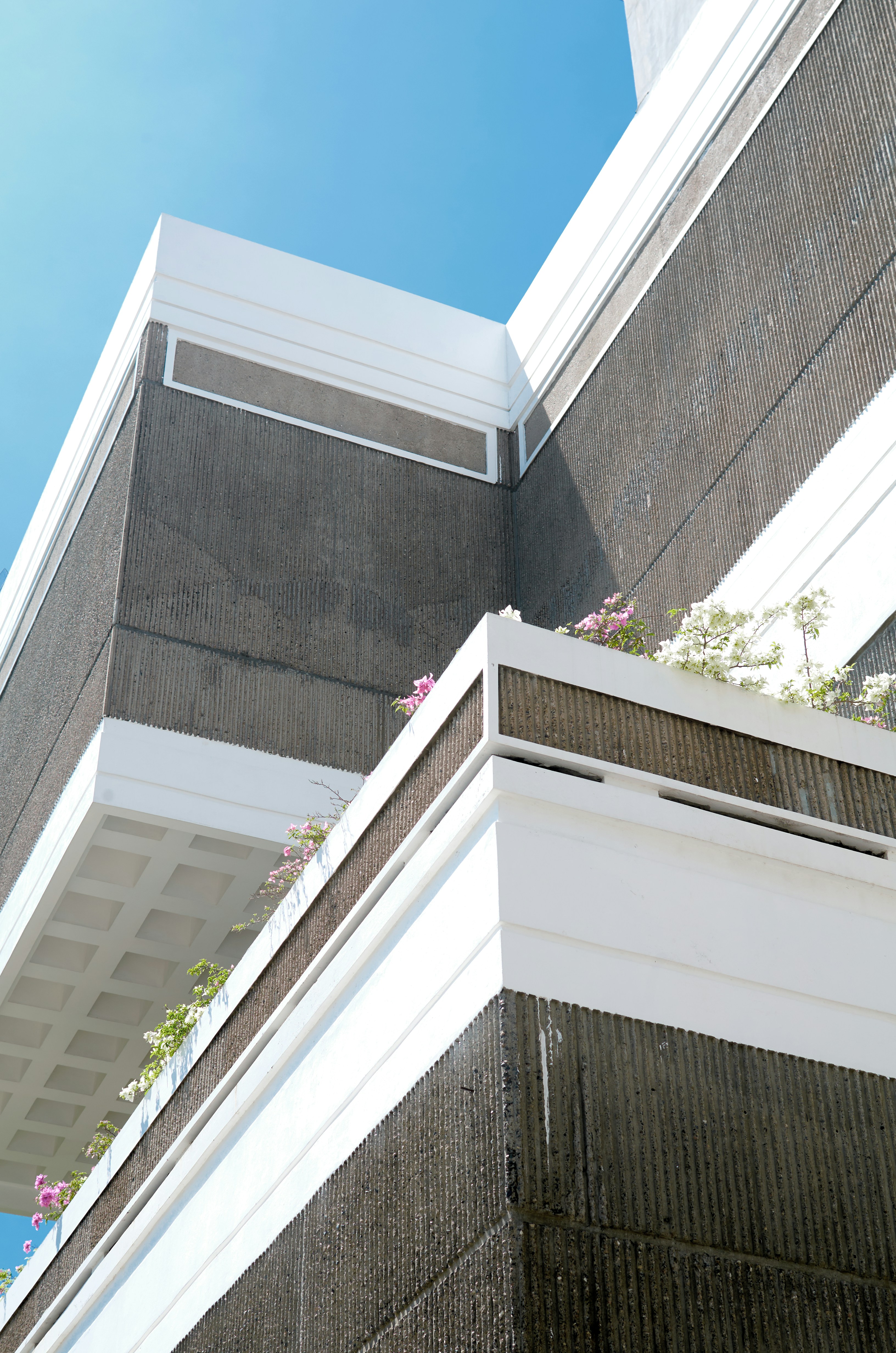 Corner Terrace of Brutalist White/Gray: Planting on the Edge