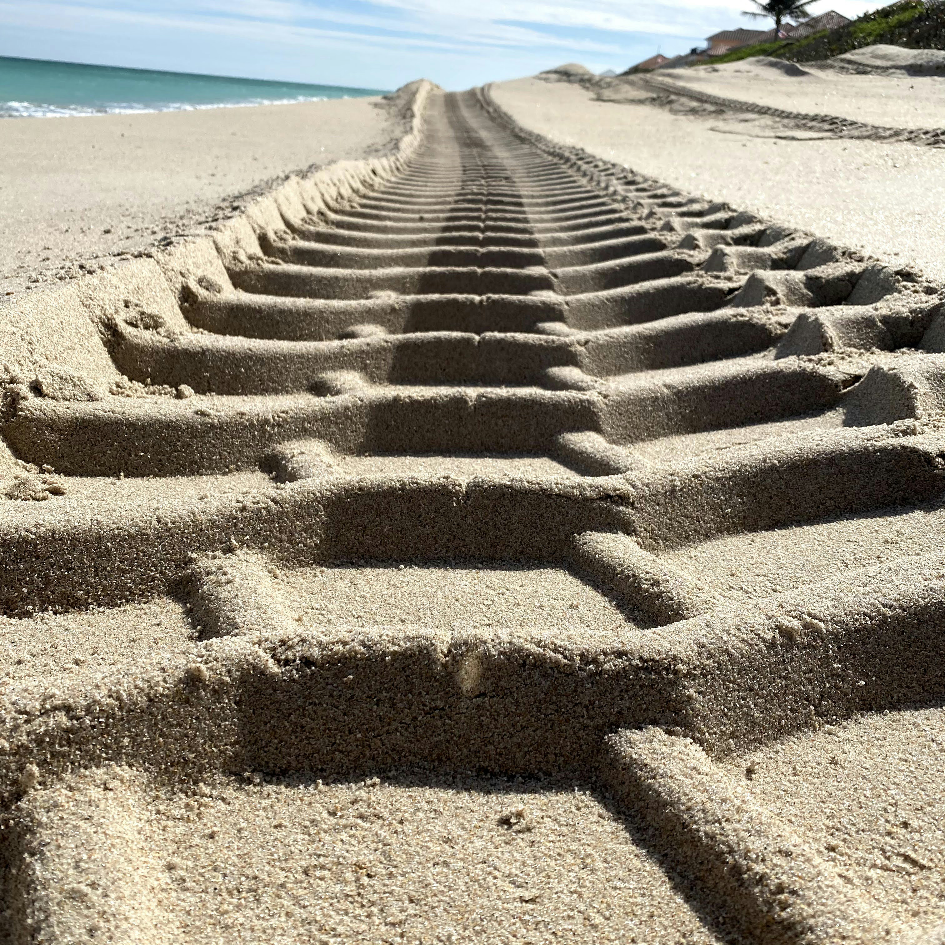 Tire tracks in sand