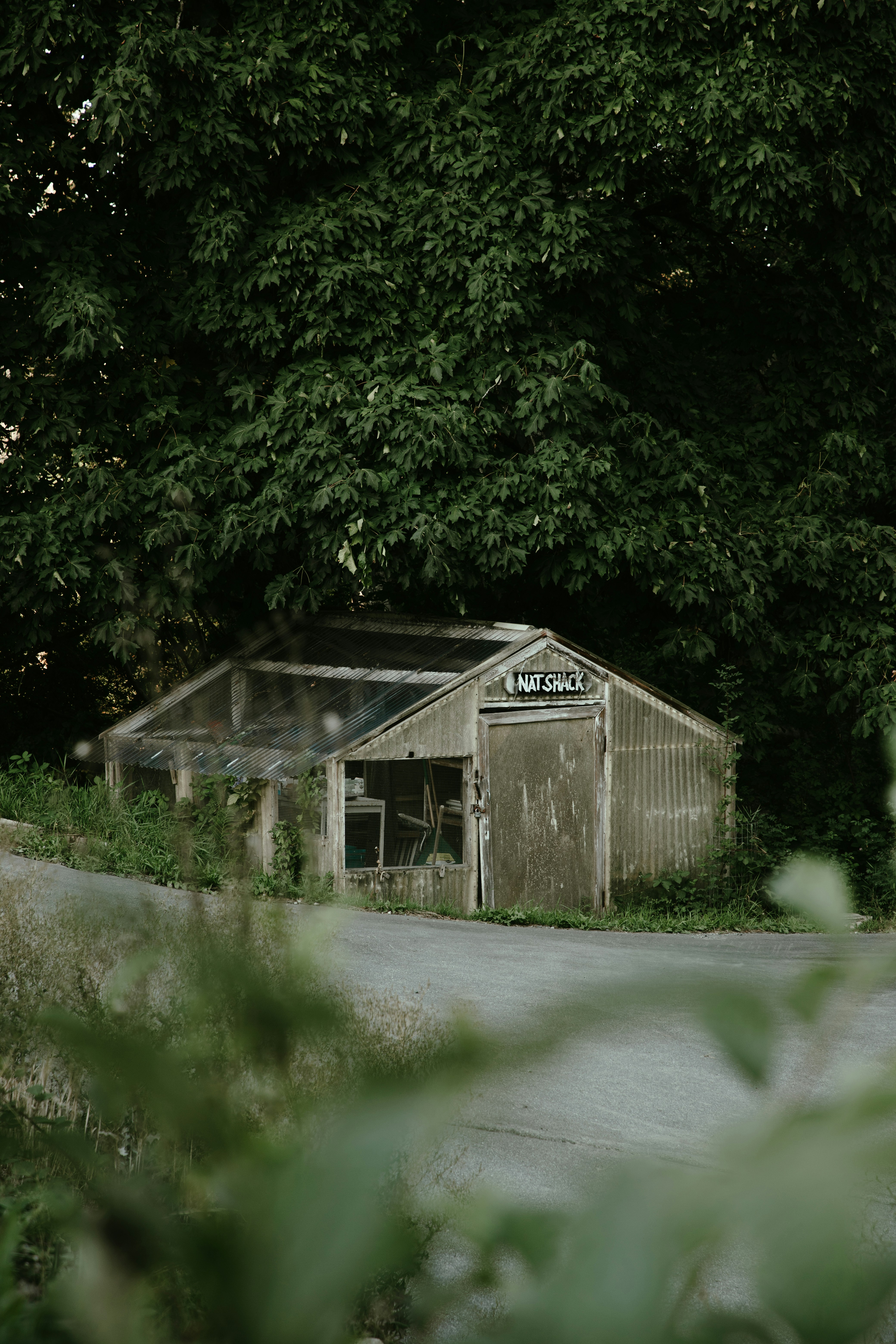 A rustic nut shack nestled among lush greenery, showcasing a blend of nature and craftsmanship.