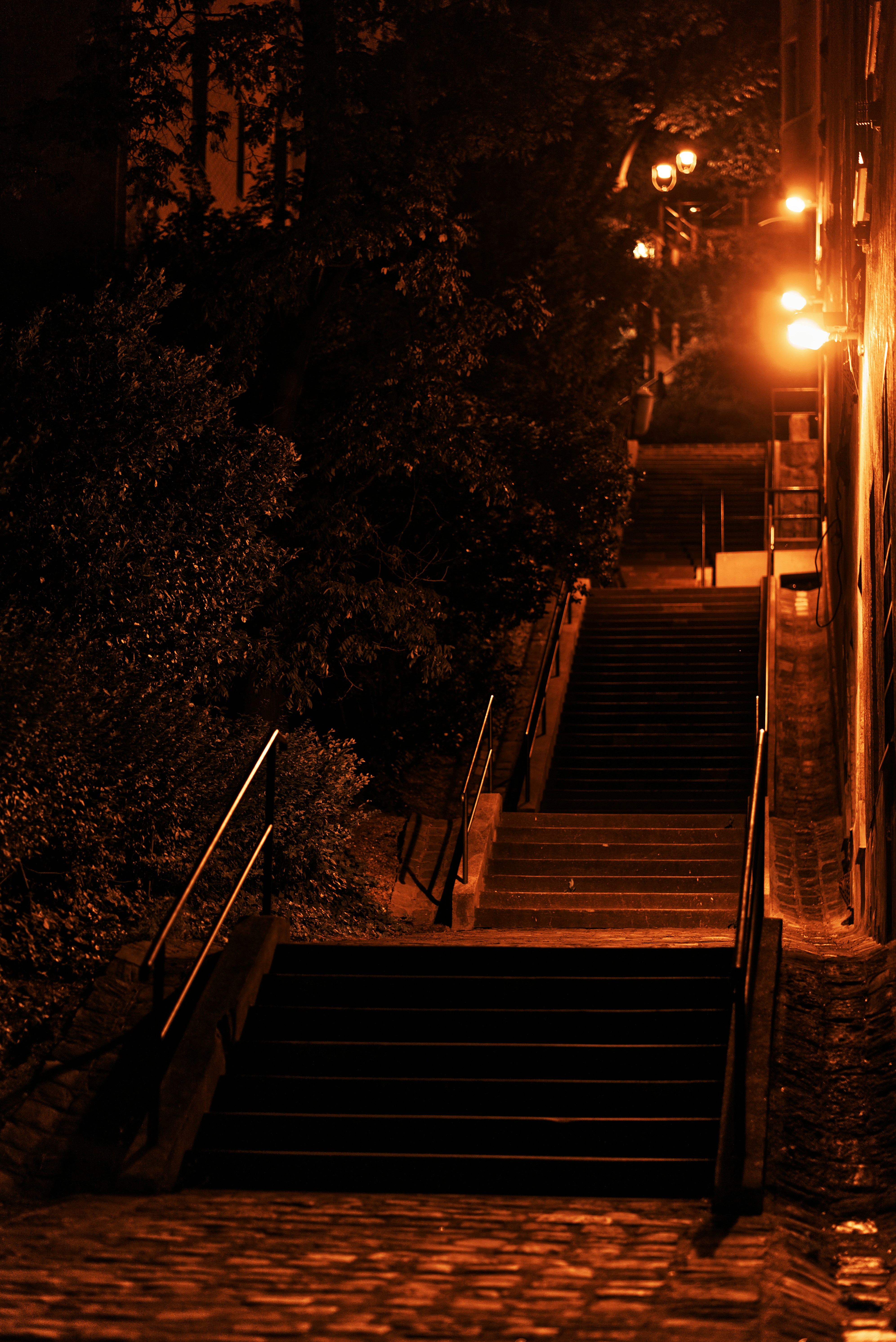 Magyar Utca Photos | Télécharger des images gratuites sur Unsplash