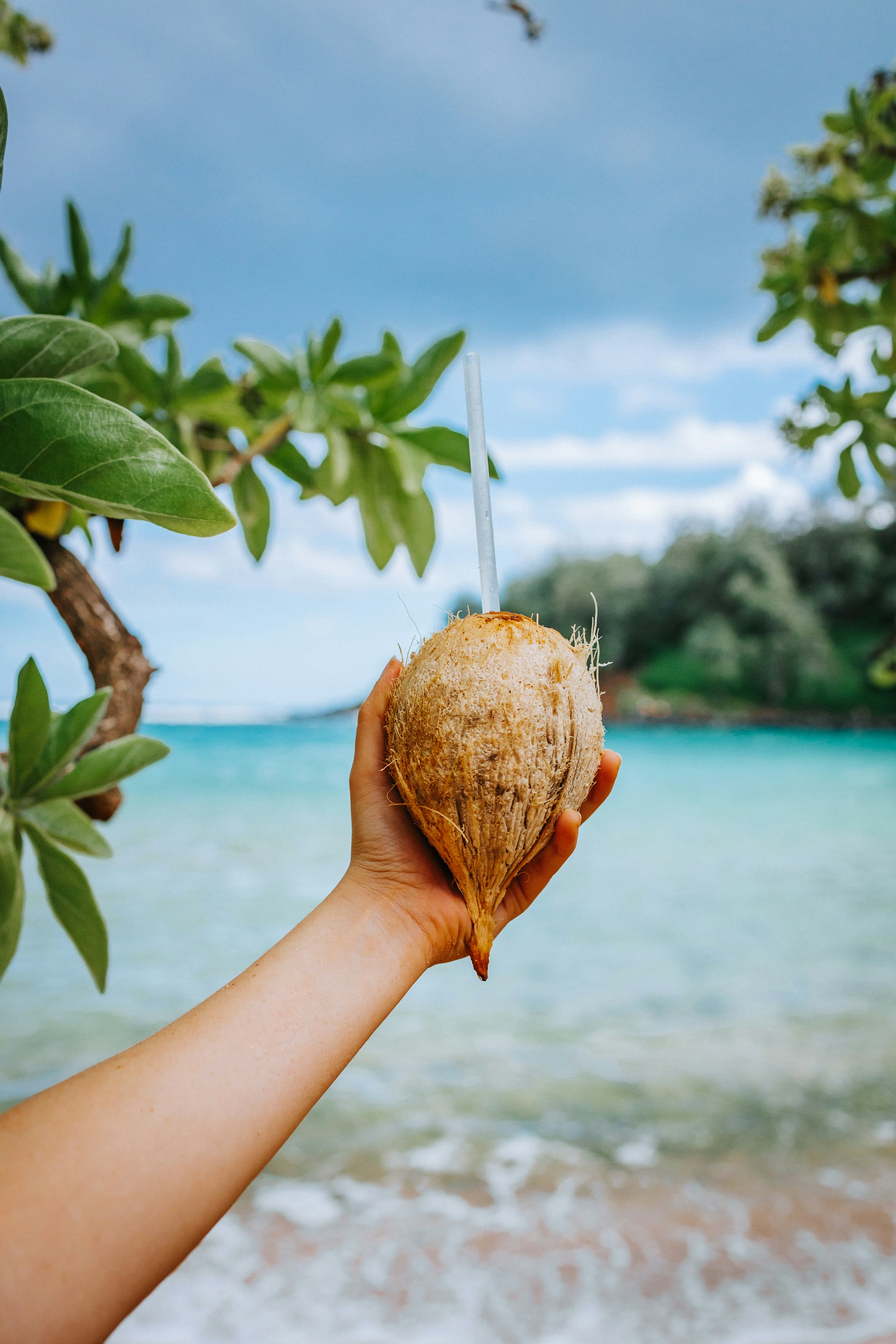 Sample photo from Canon EOS R6