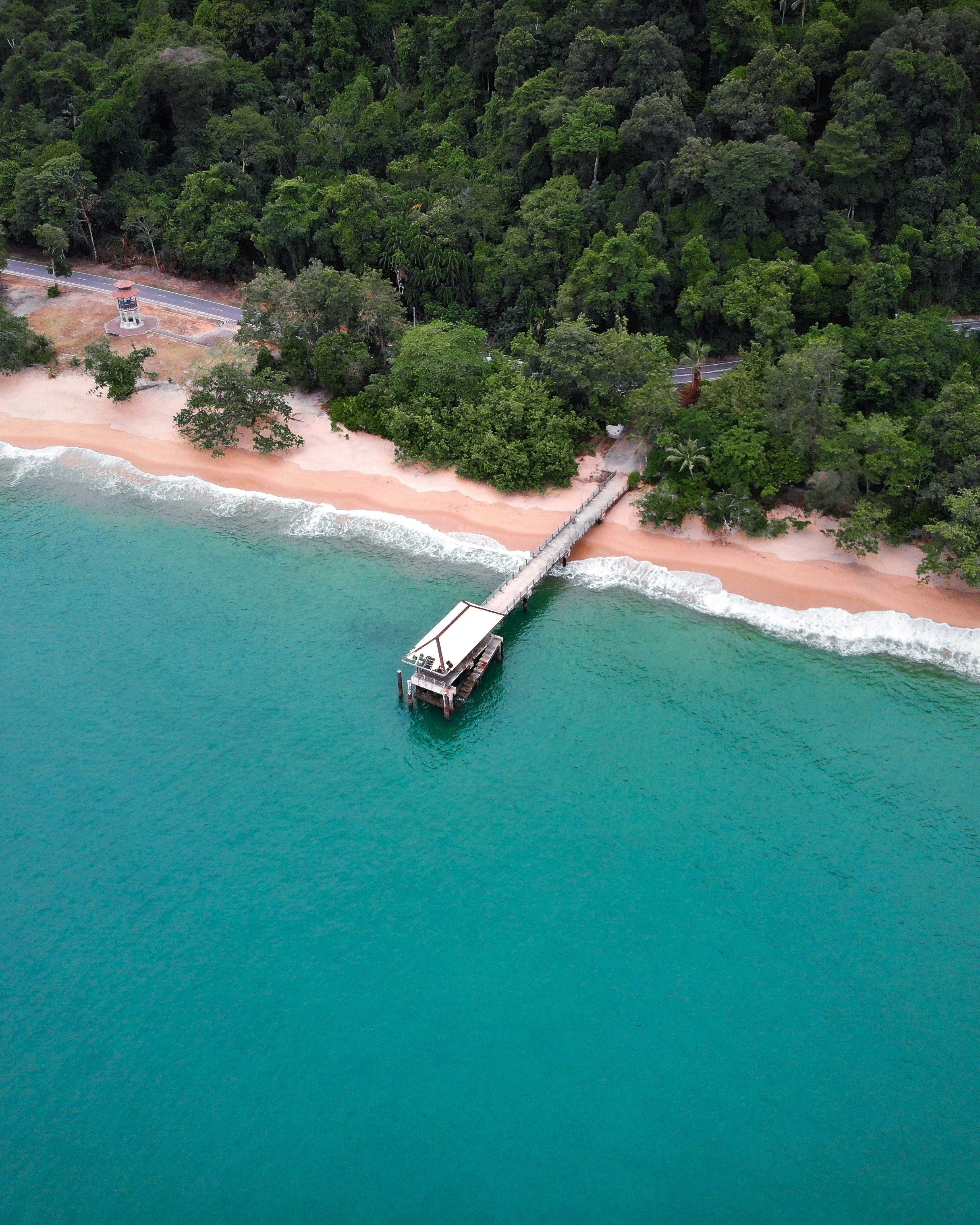 Turquoise Shoreline: A Pier Reaches the Jungle
