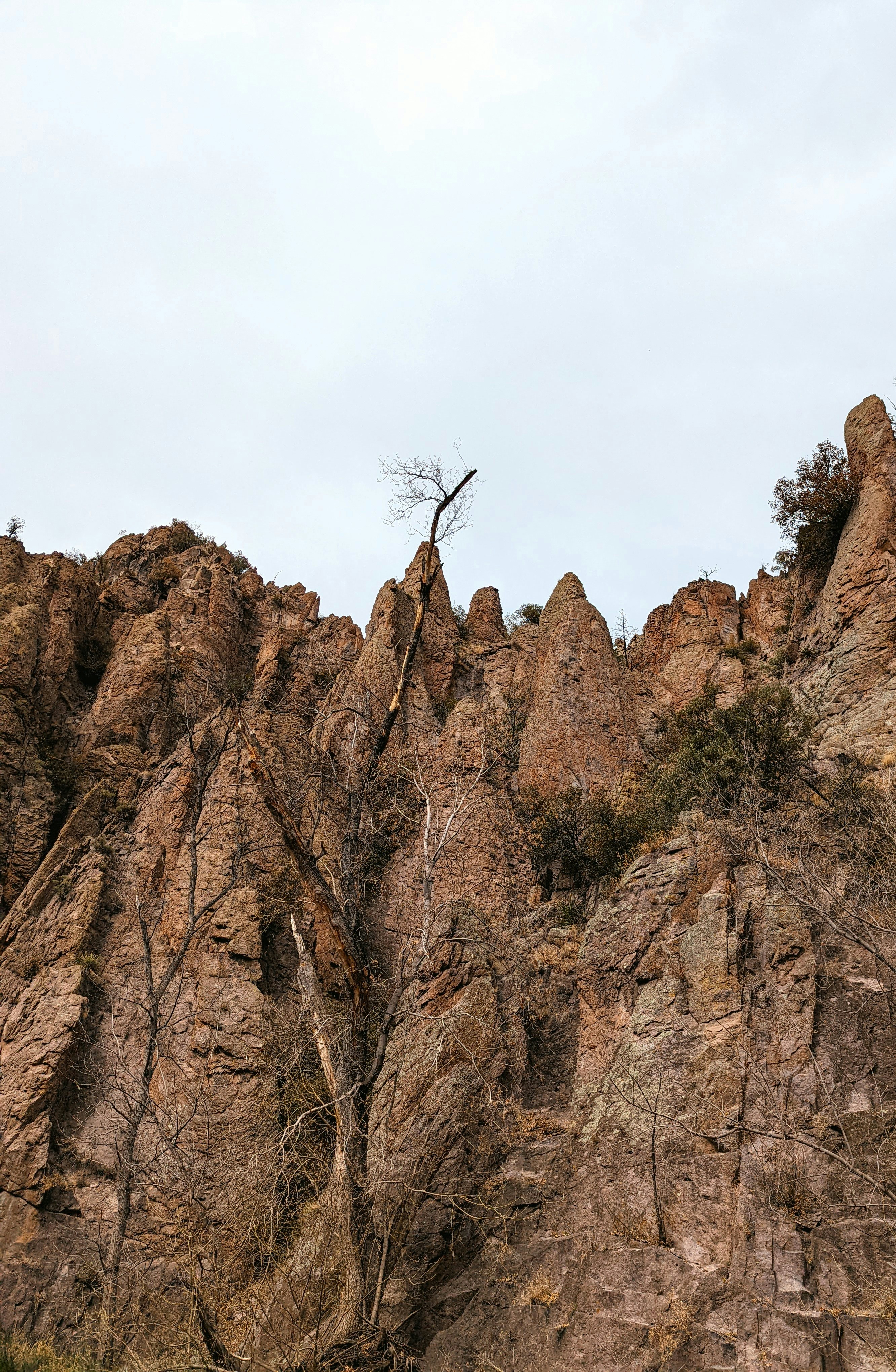 Some cool rock formations in the canyon I was backpacking through. | a rocky cliff with a tree