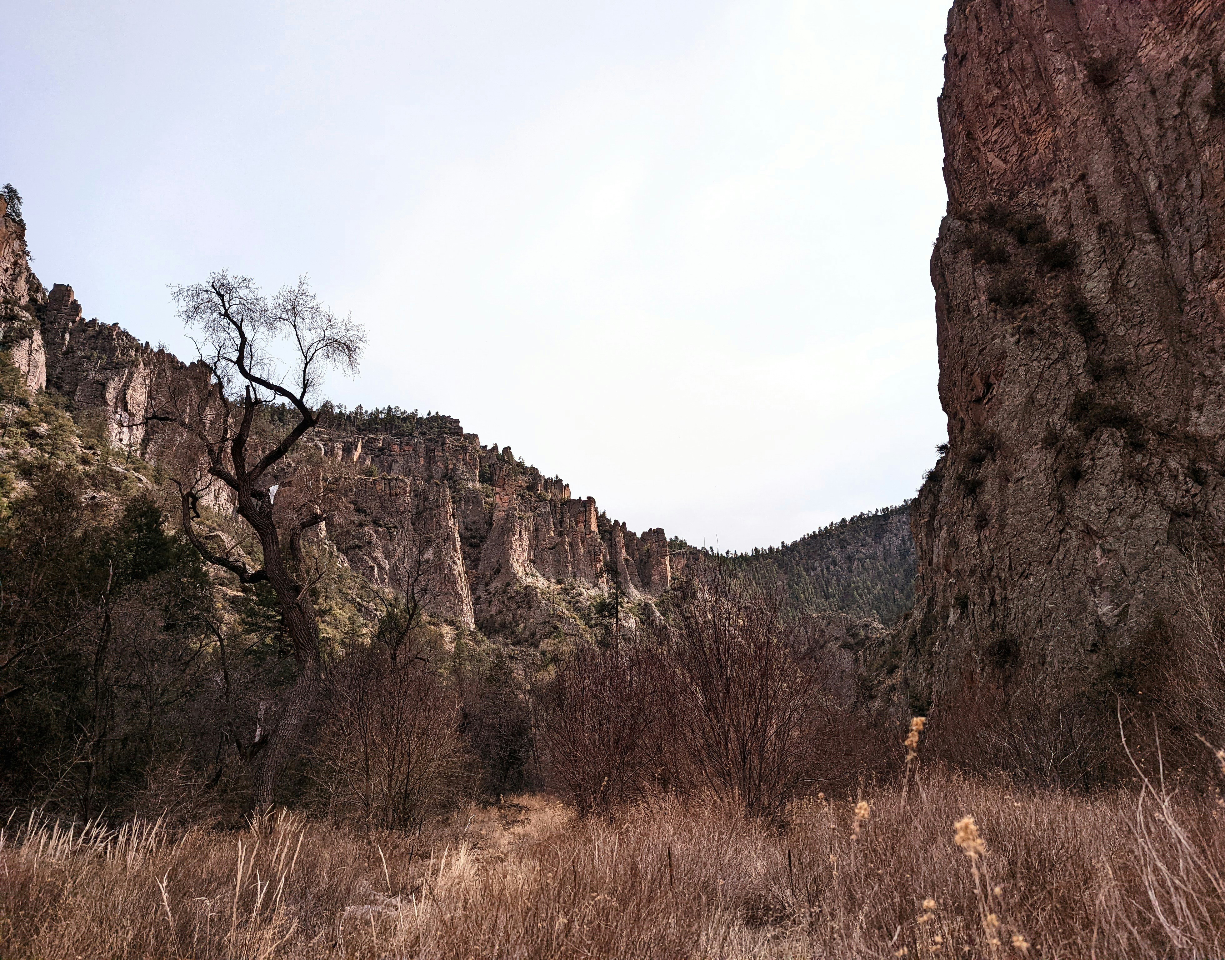 Stone Sentinels in a Quiet Canyon