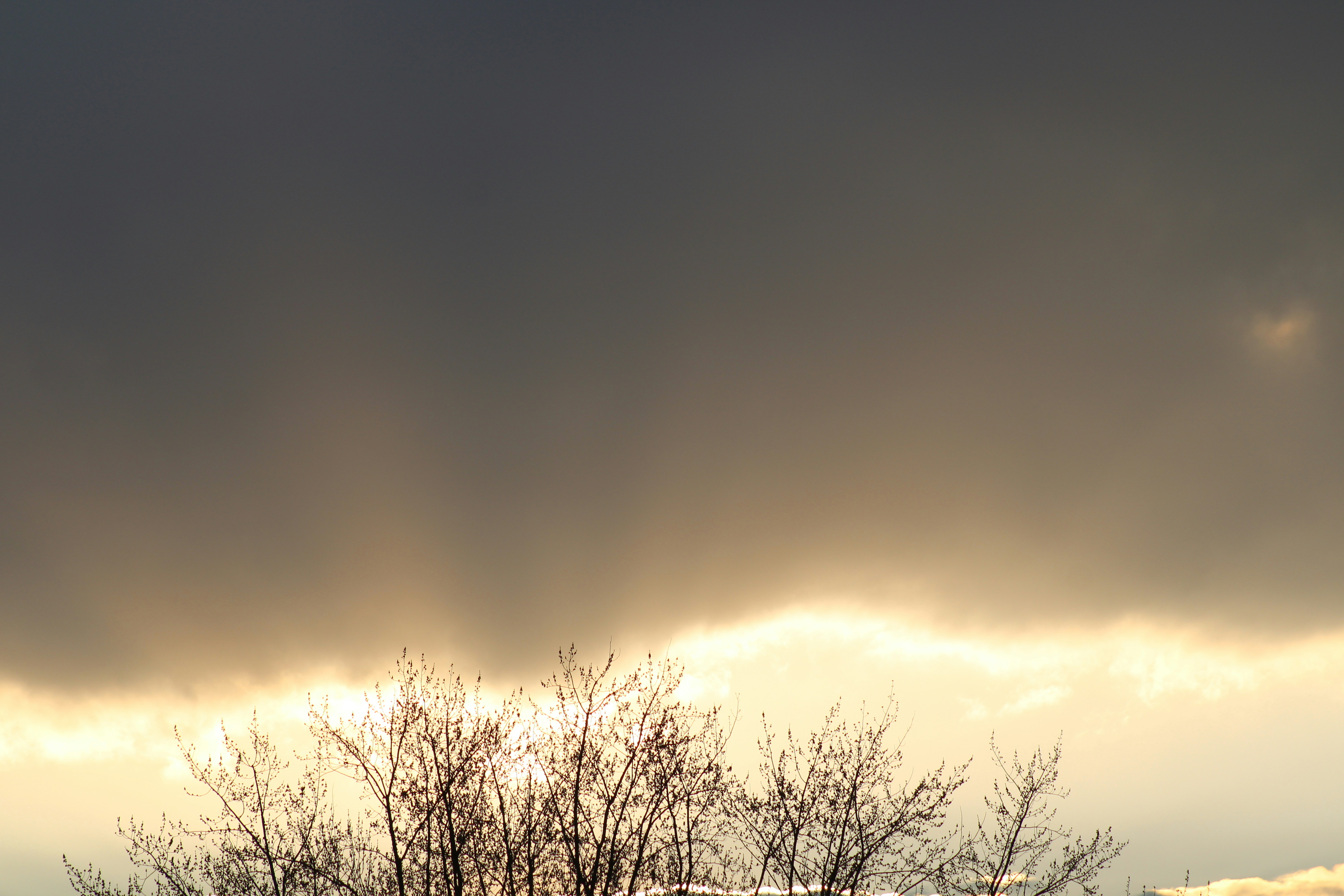 Nick Matthews (@nickmatthews) | Communauté photos Unsplash