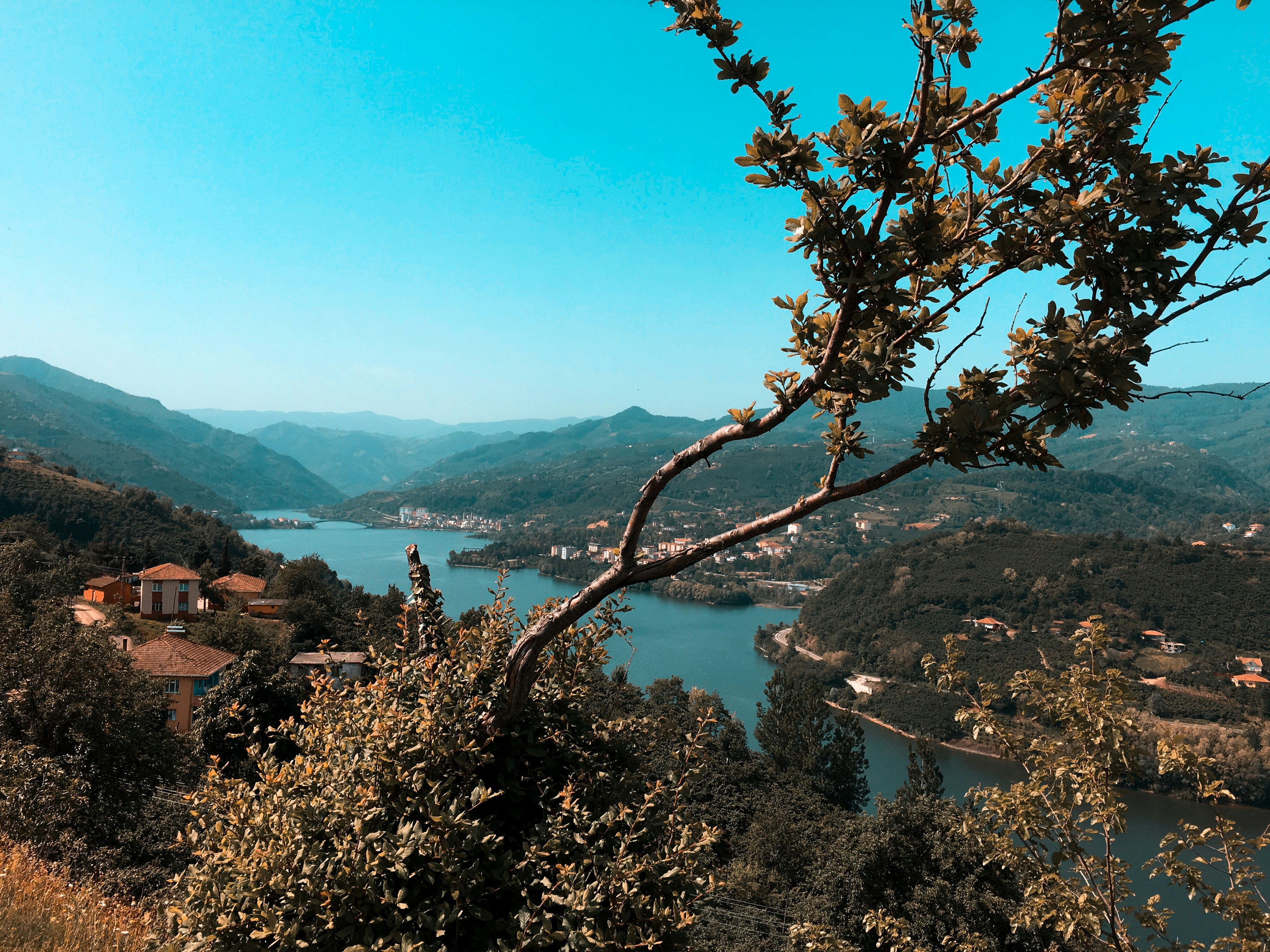 Cerulean Lake Vale: Branch-framed panorama of hills and water