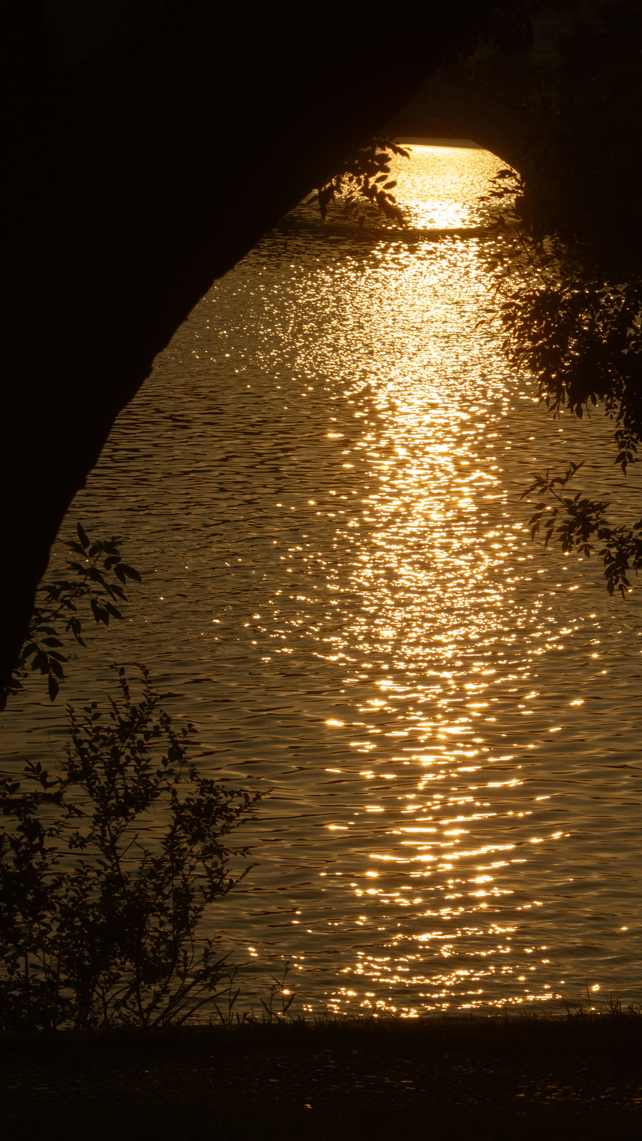 Golden Arch Over Quiet River: A Silhouette Portrait at Dusk