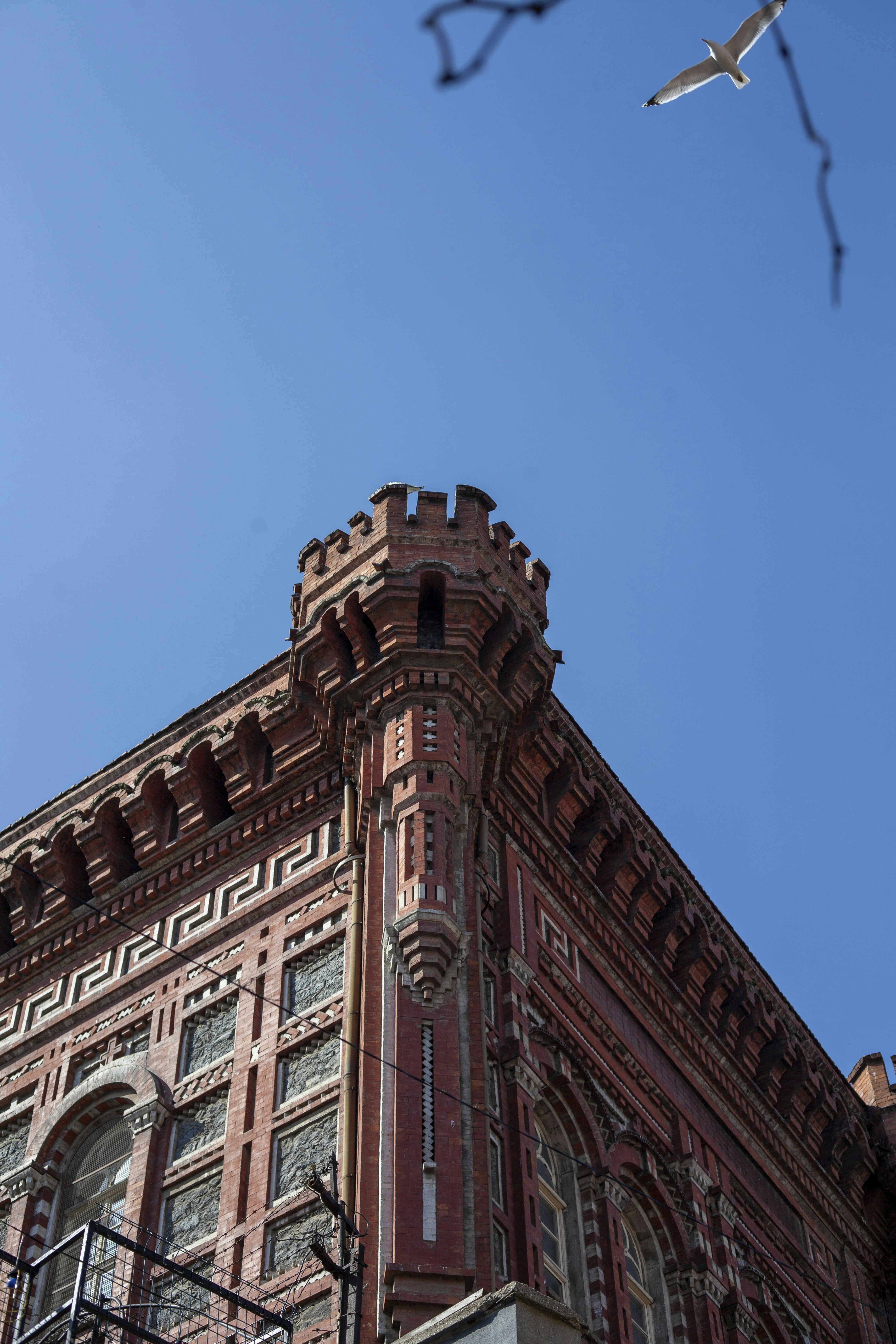 Intricate brickwork of a historic building against a clear blue sky, with a seagull soaring above.
