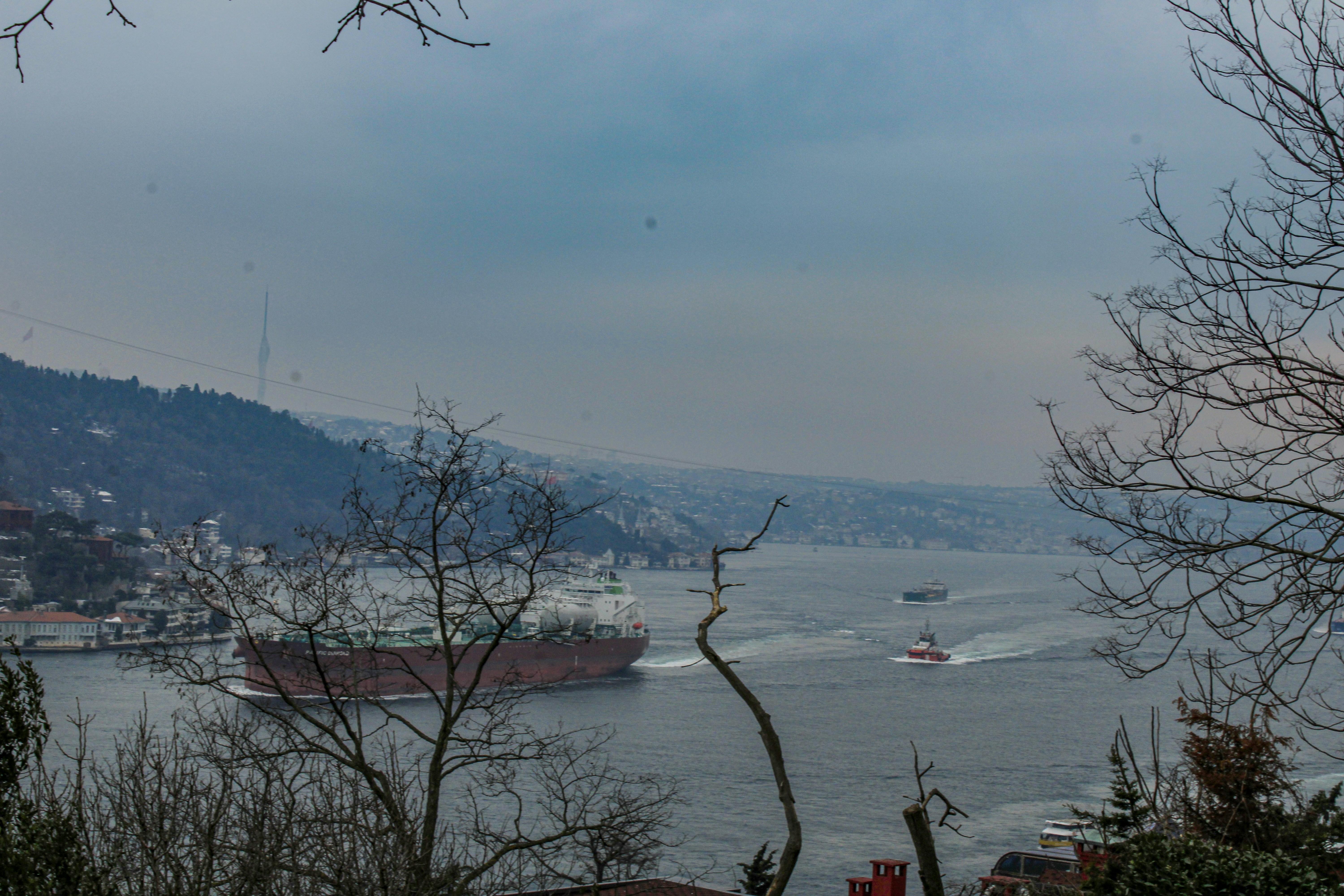 A large ship in the water photo – Free Ship Image on Unsplash