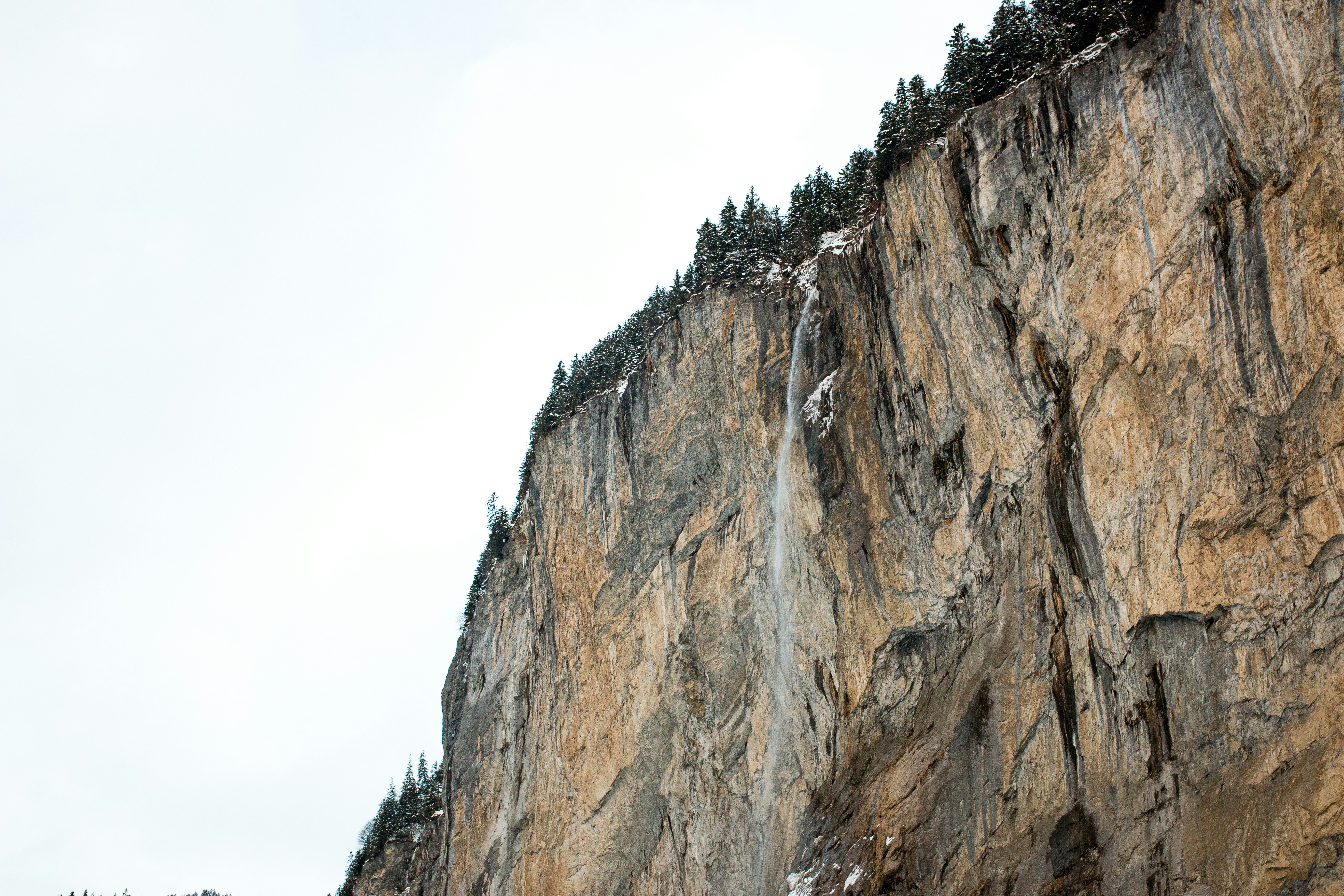 A cliff with trees on it photo – Free Grindelwald Image on Unsplash