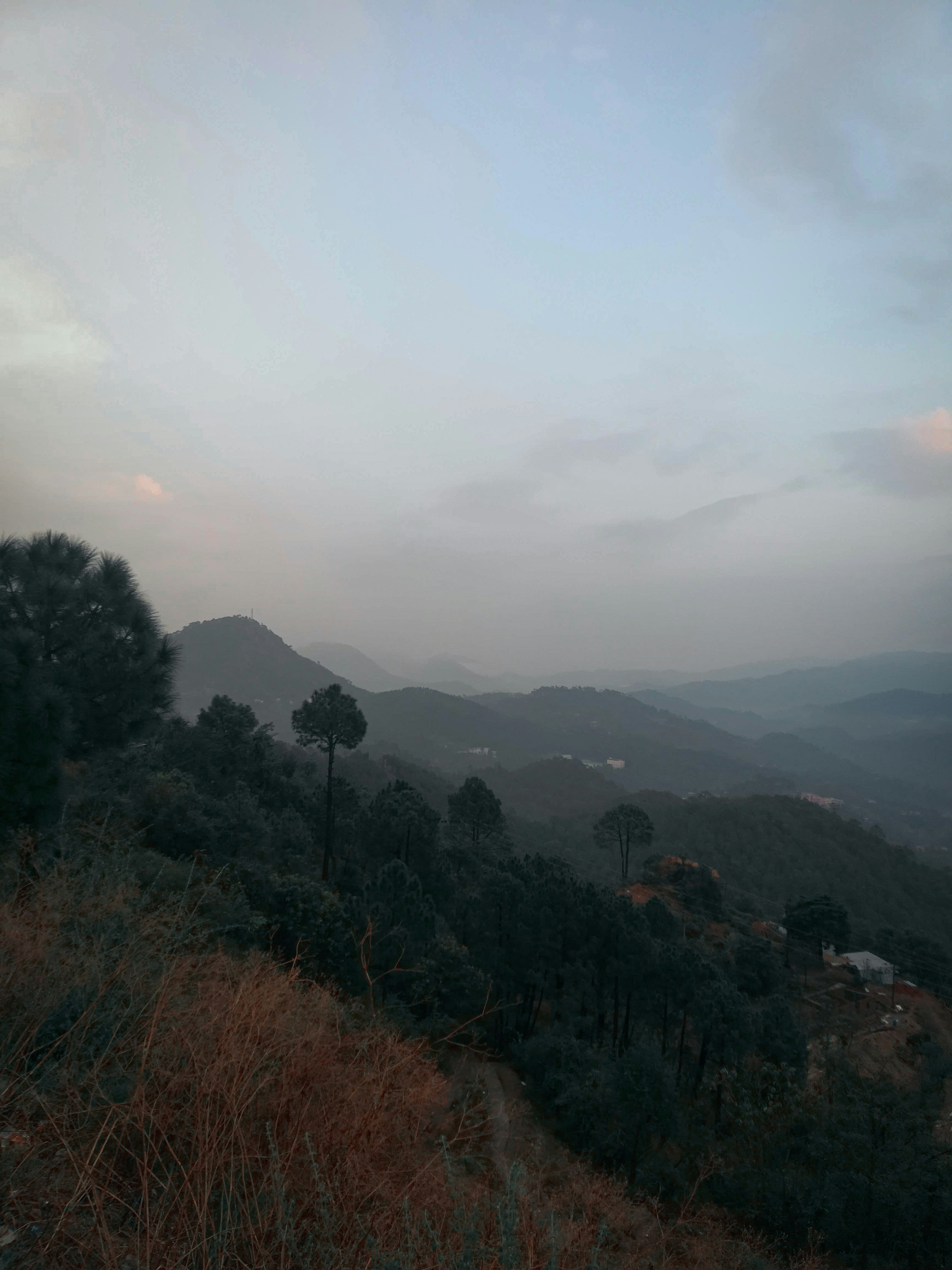 A tranquil mountain landscape at dusk, featuring rolling hills and scattered pine trees under a soft, cloudy sky.