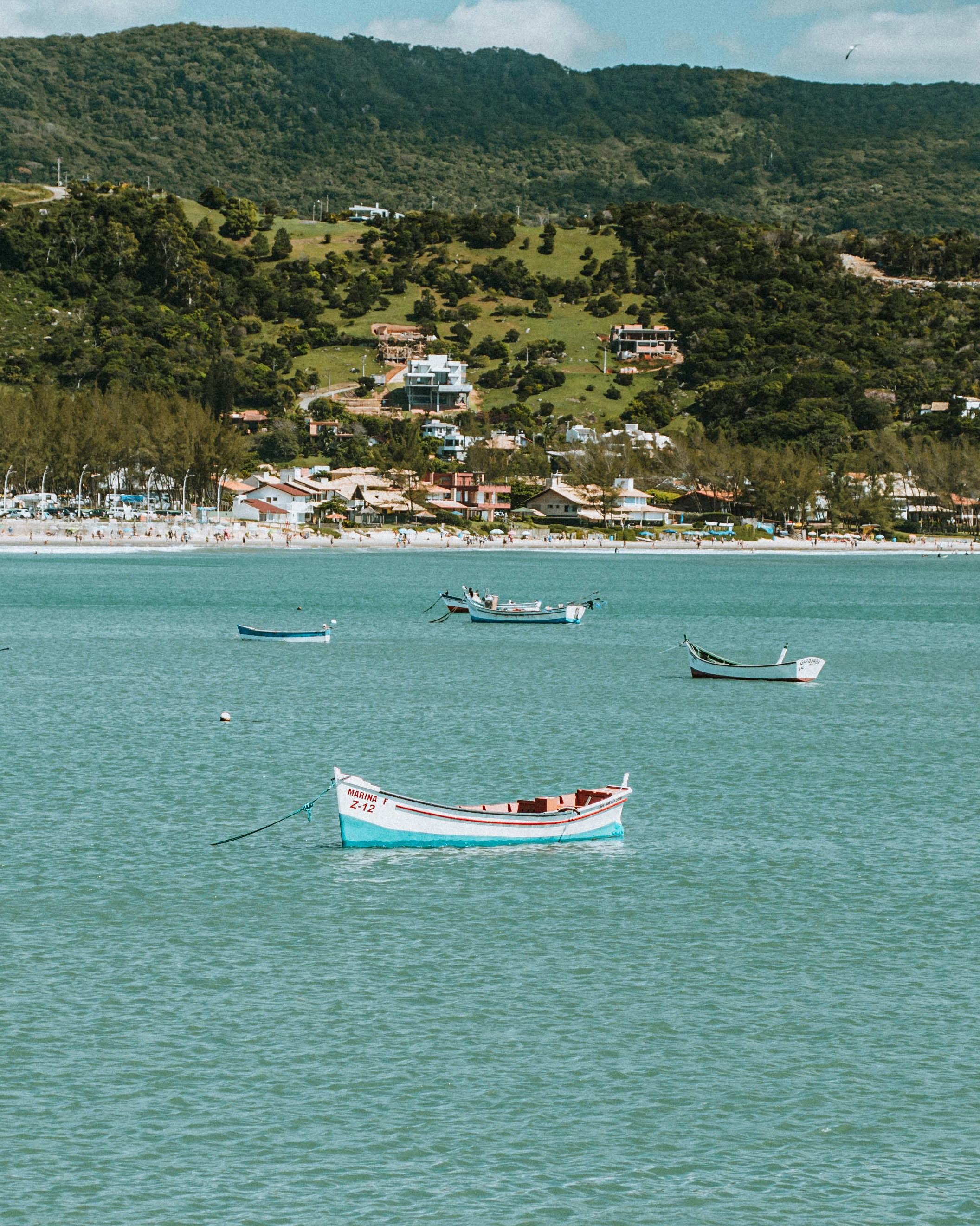 Harbor of Tranquil Boats Under a Rolling Coastal Hill